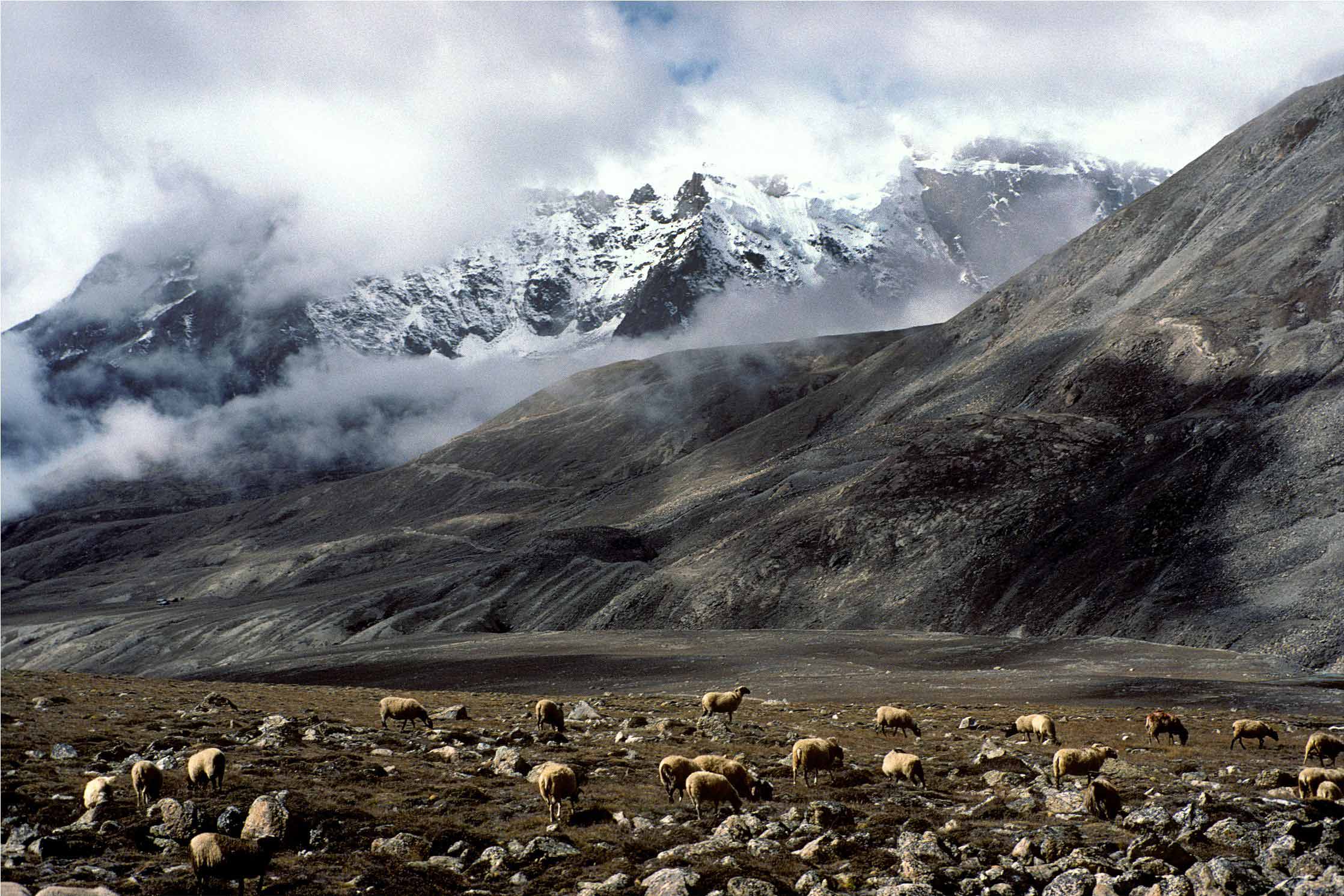 Himalaya: Six decades of Photography | Sahapedia