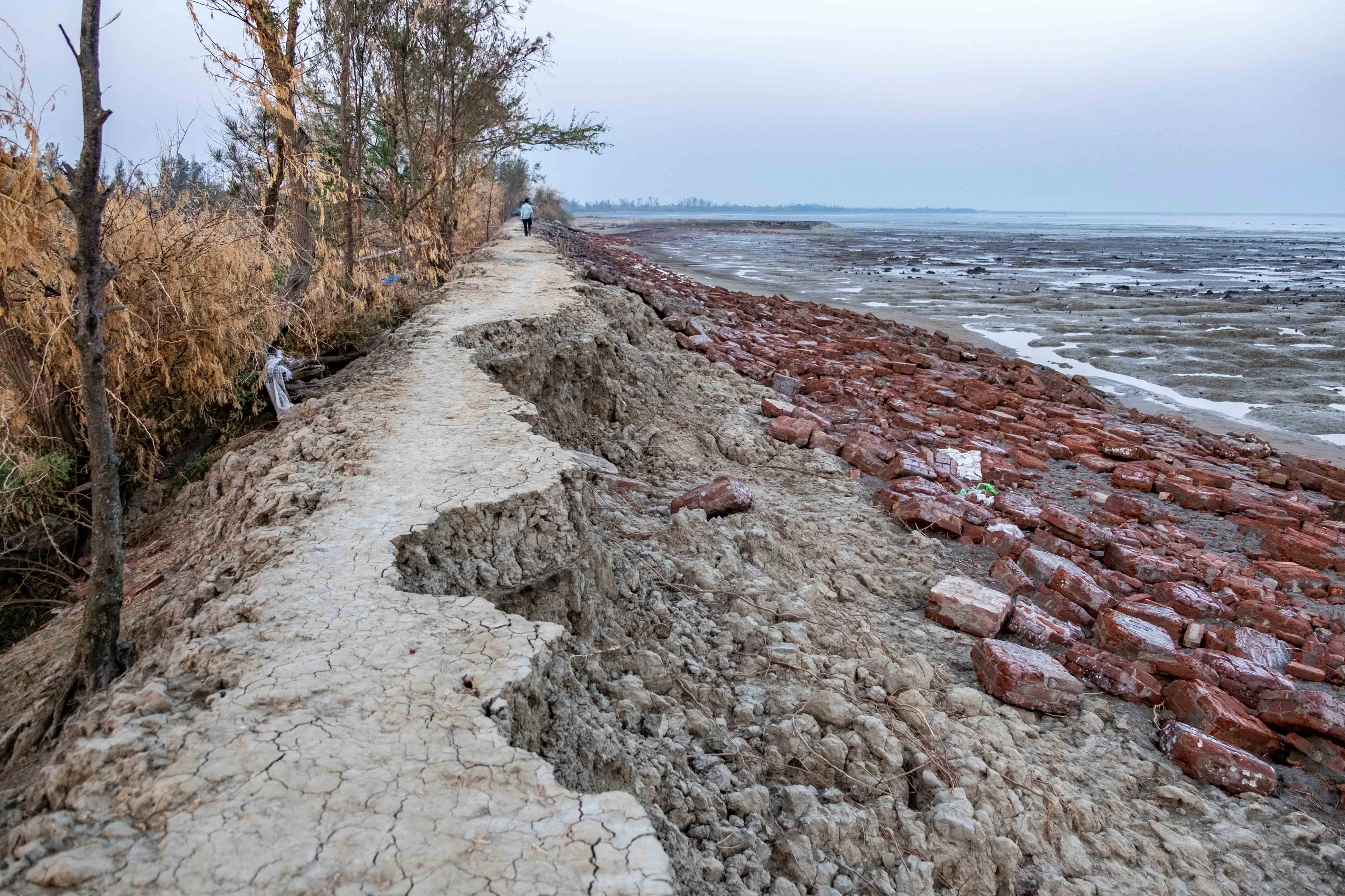 The Sundarbans: Disaster, Damage and Displacement | Sahapedia