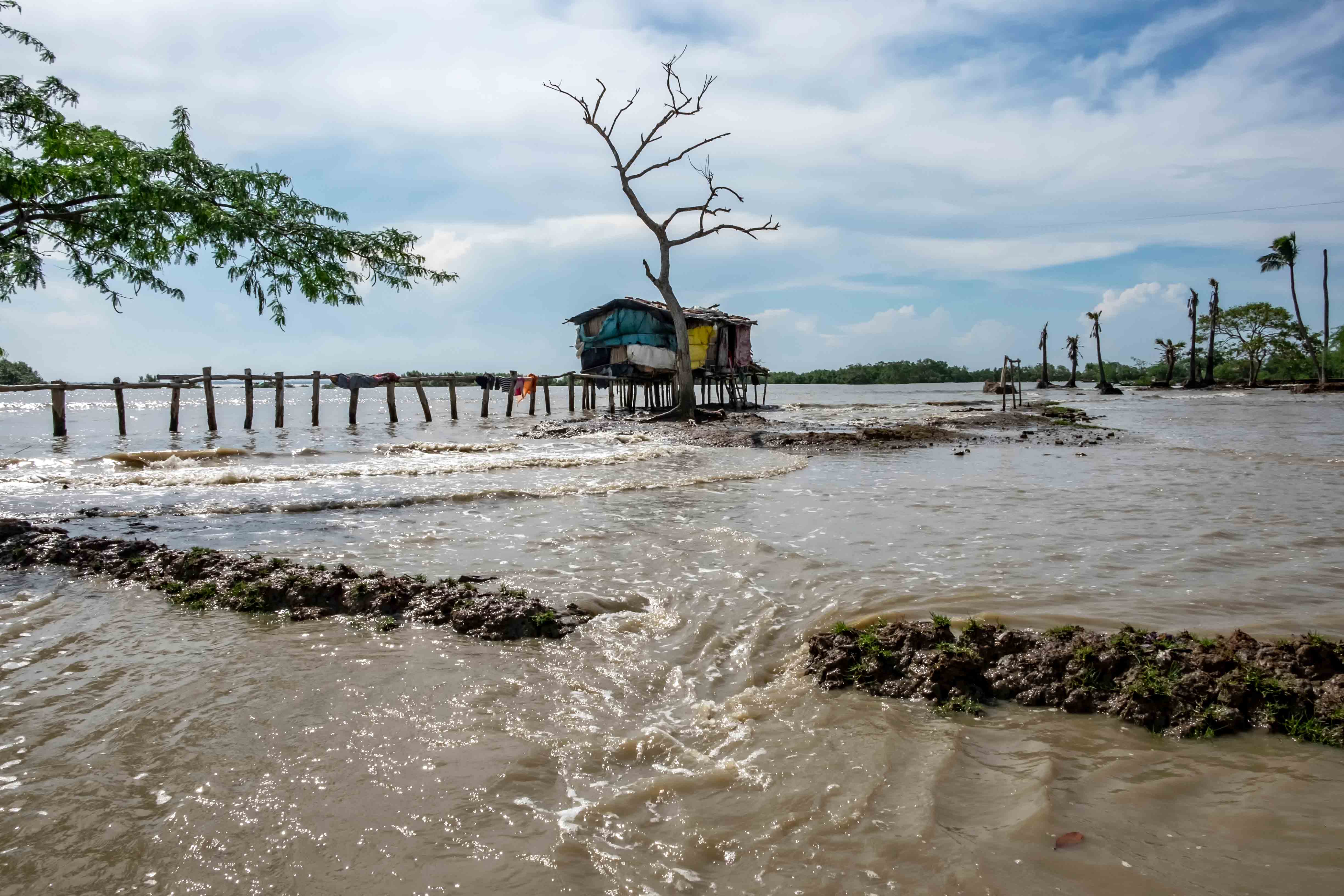 The Sundarbans: Disaster, Damage and Displacement | Sahapedia