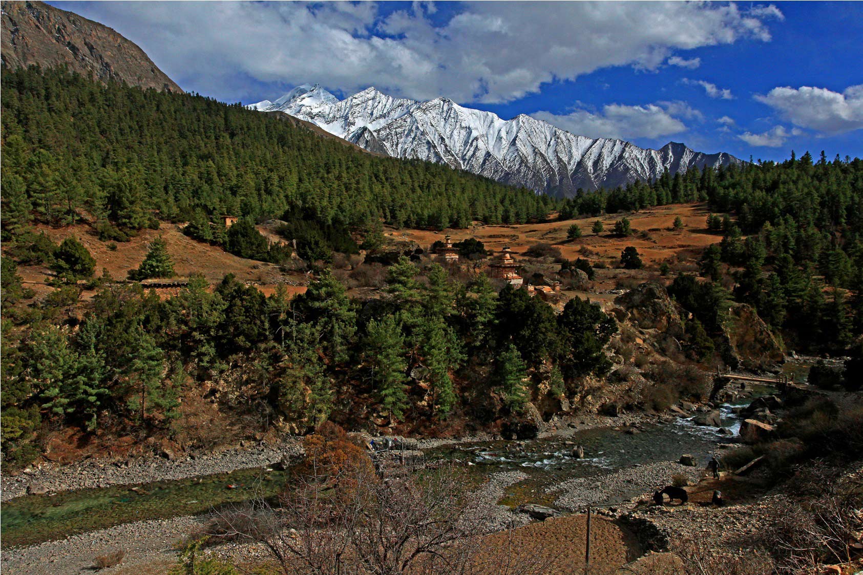 Himalaya: Six decades of Photography | Sahapedia