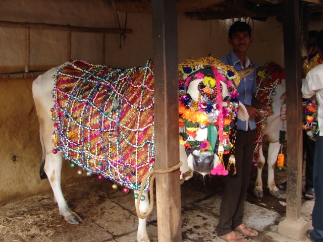 पोला/गौठान: मानव एवं पशु संबंधों की छत्तीसगढ़ी परम्परा, Pola/Gauthan ...