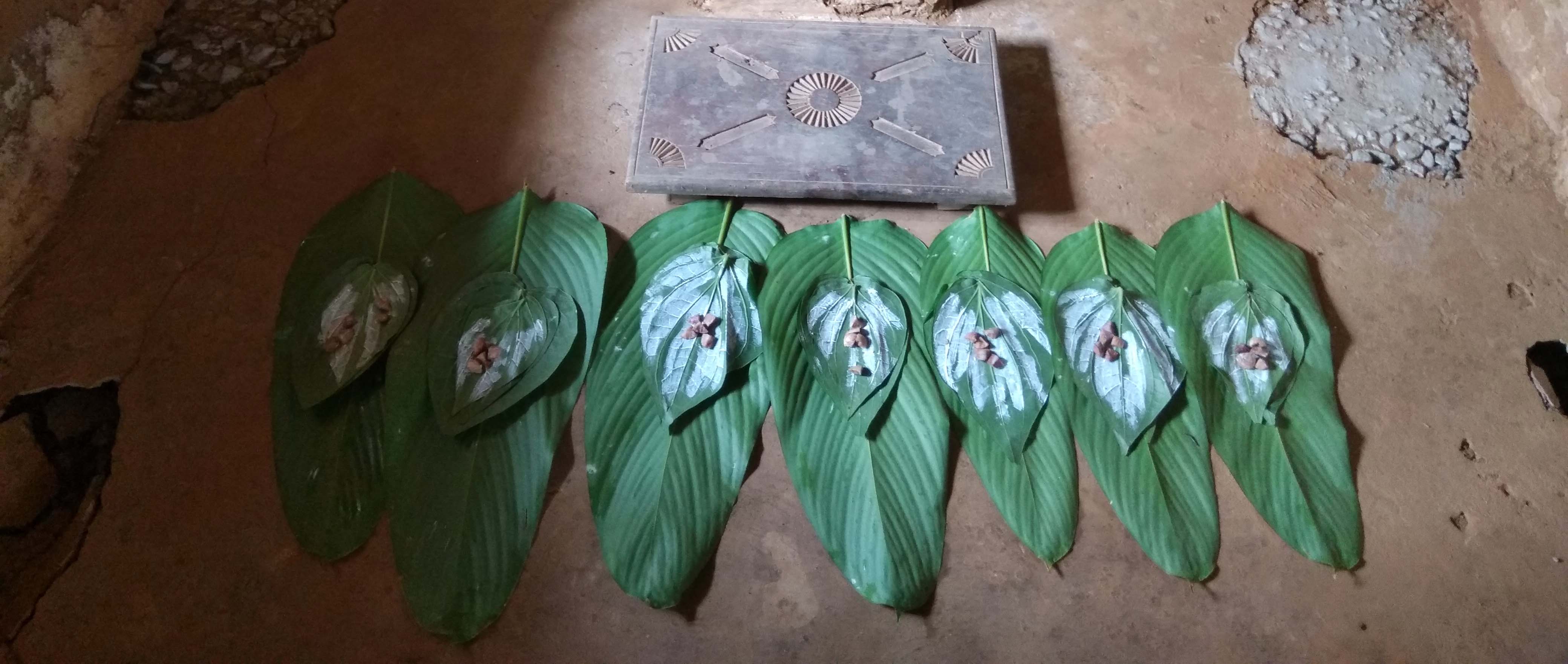 Kurichiyas and Kurumas of Wayanad: Photo Documentation | Sahapedia