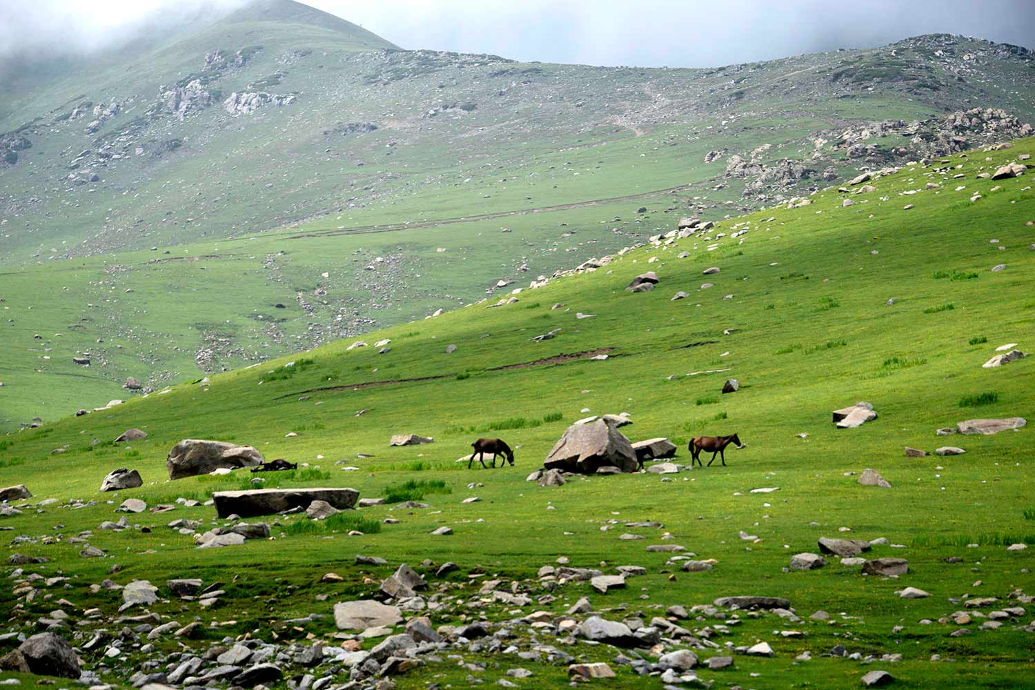 Landscapes from the Mughal Road | Sahapedia