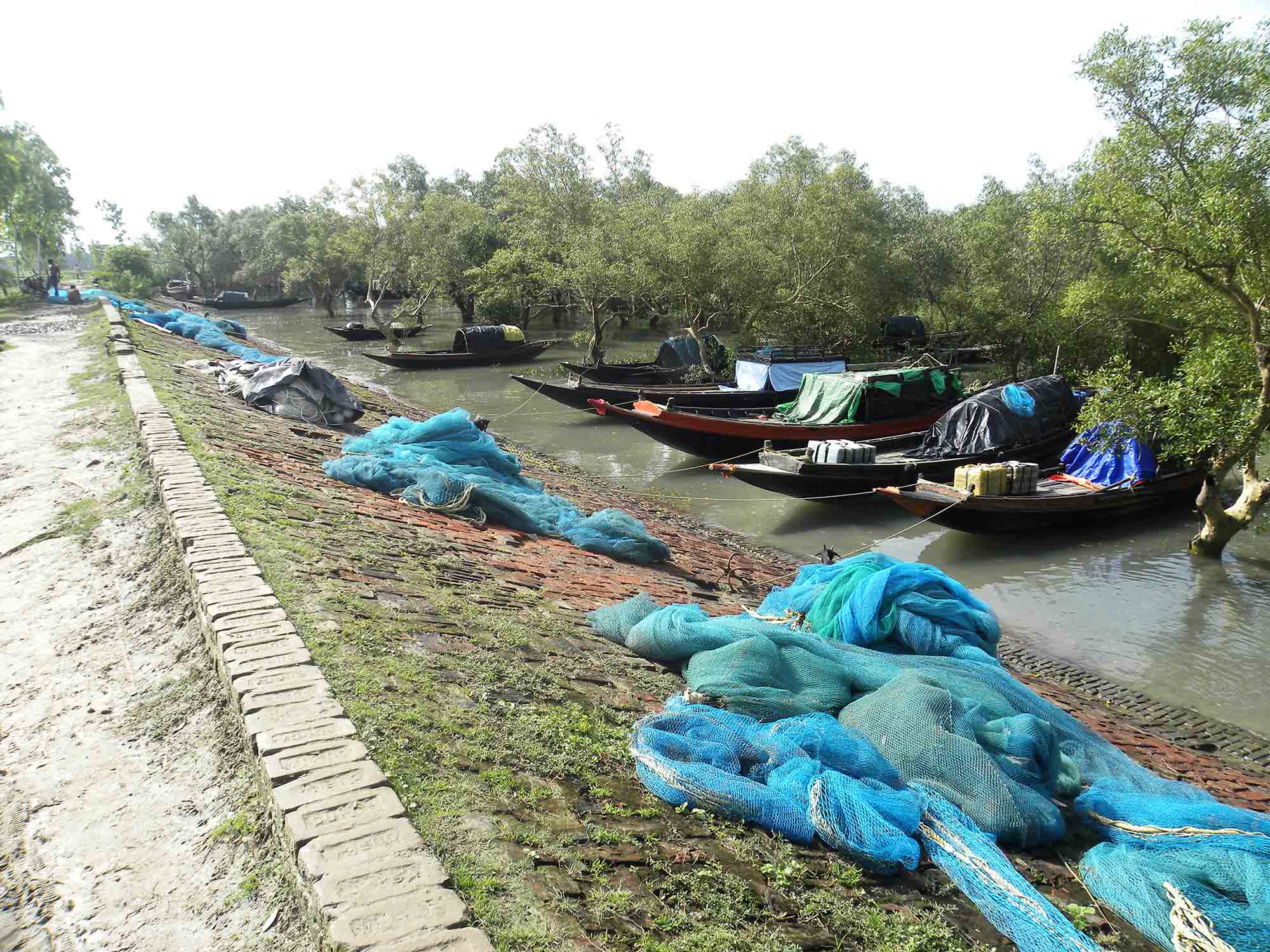 People of the Sundarbans | Sahapedia