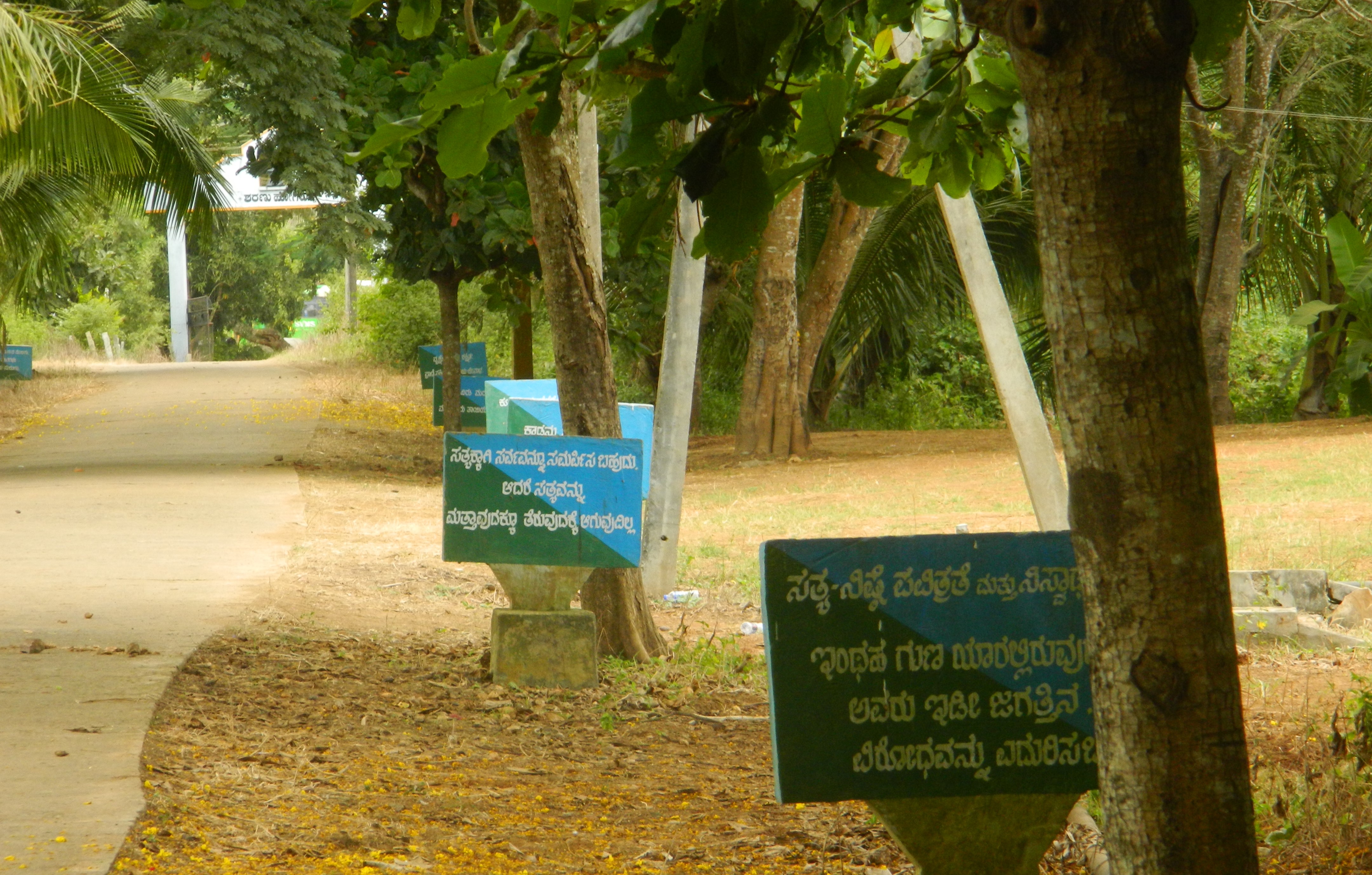 Tales of Uduthadi: In Search of Akkamahadevi | Sahapedia