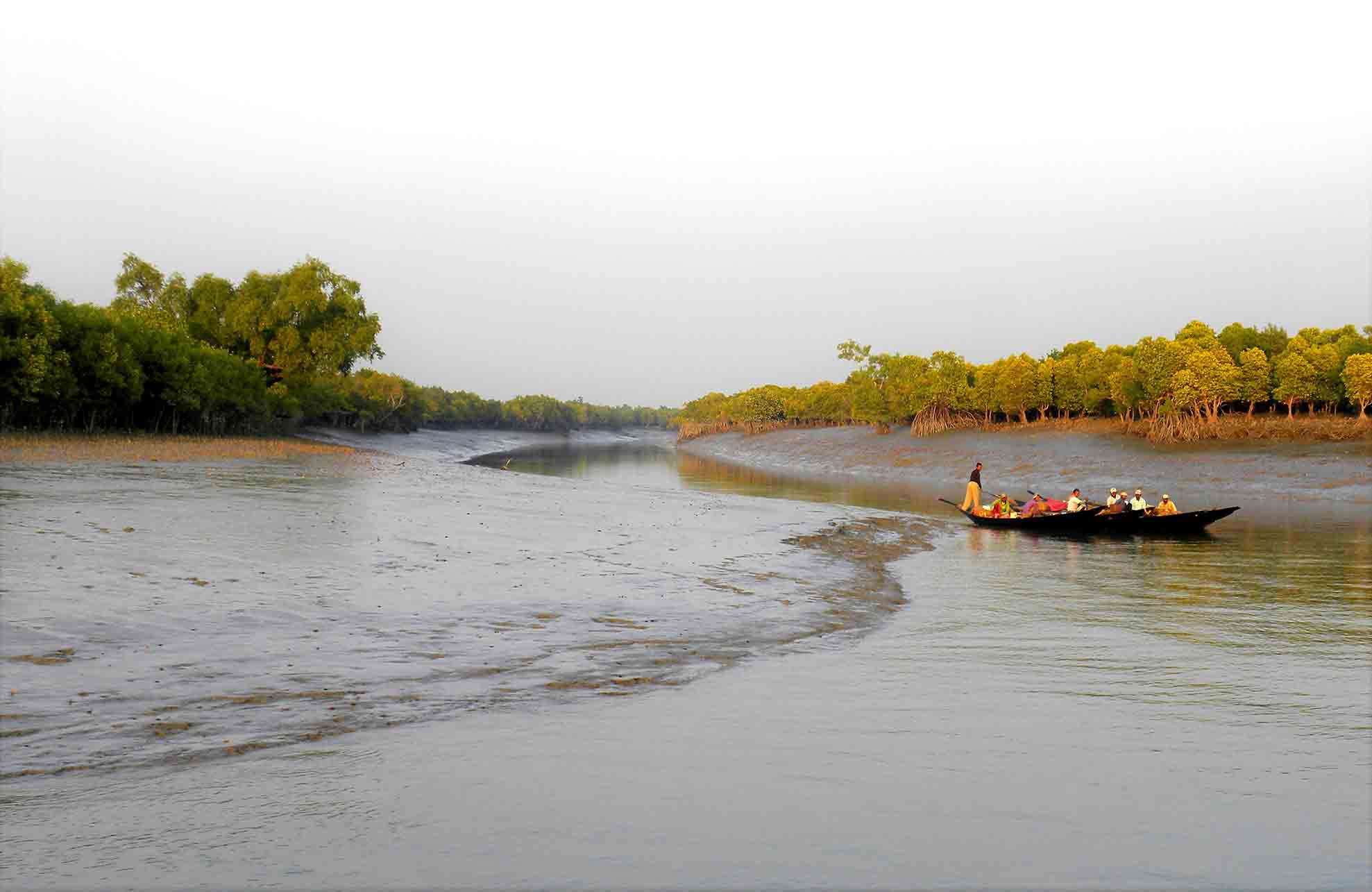 People of the Sundarbans | Sahapedia