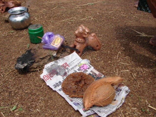 पोला/गौठान: मानव एवं पशु संबंधों की छत्तीसगढ़ी परम्परा, Pola/Gauthan ...