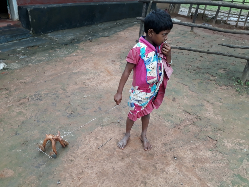 पोला/गौठान: मानव एवं पशु संबंधों की छत्तीसगढ़ी परम्परा, Pola/Gauthan ...