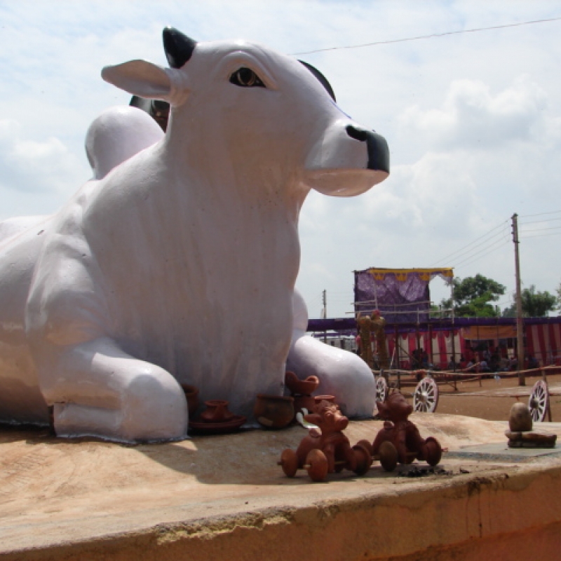 पोला/गौठान: मानव एवं पशु संबंधों की छत्तीसगढ़ी परम्परा, Pola/Gauthan ...