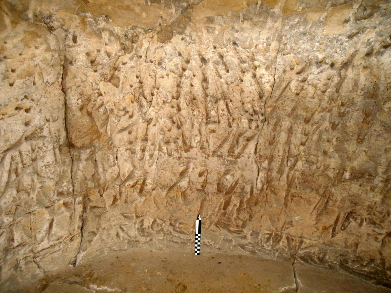 Glimpses of Prehistoric Kashmir | Sahapedia