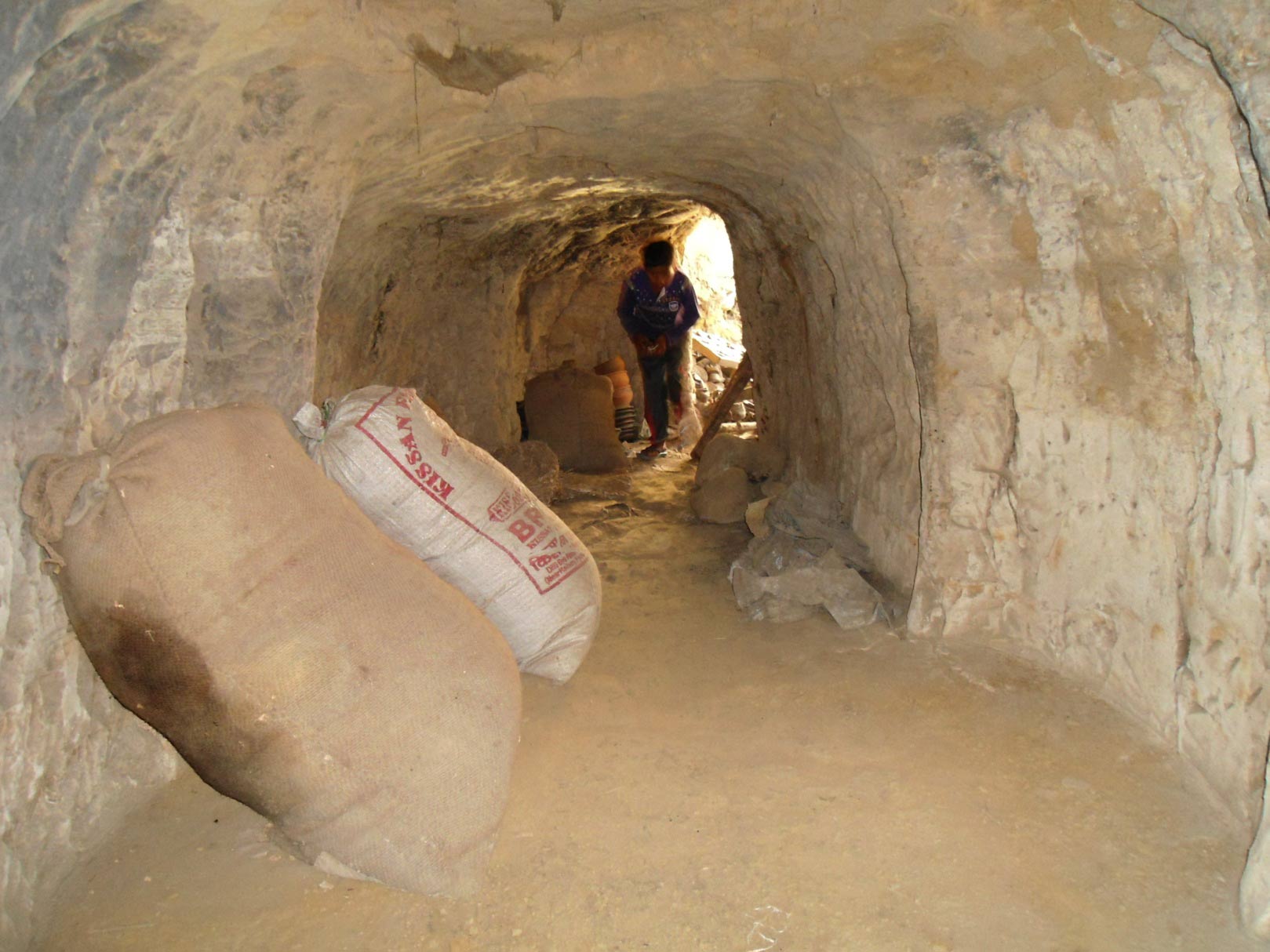 Glimpses of Prehistoric Kashmir | Sahapedia