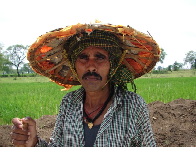 पोला/गौठान: मानव एवं पशु संबंधों की छत्तीसगढ़ी परम्परा, Pola/Gauthan ...