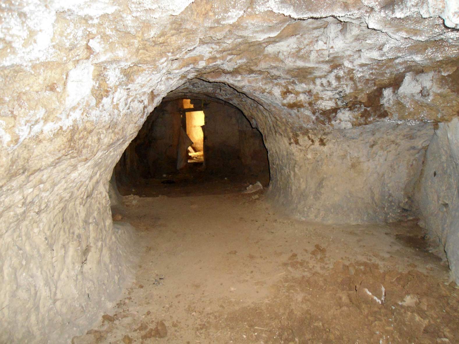 Glimpses of Prehistoric Kashmir | Sahapedia