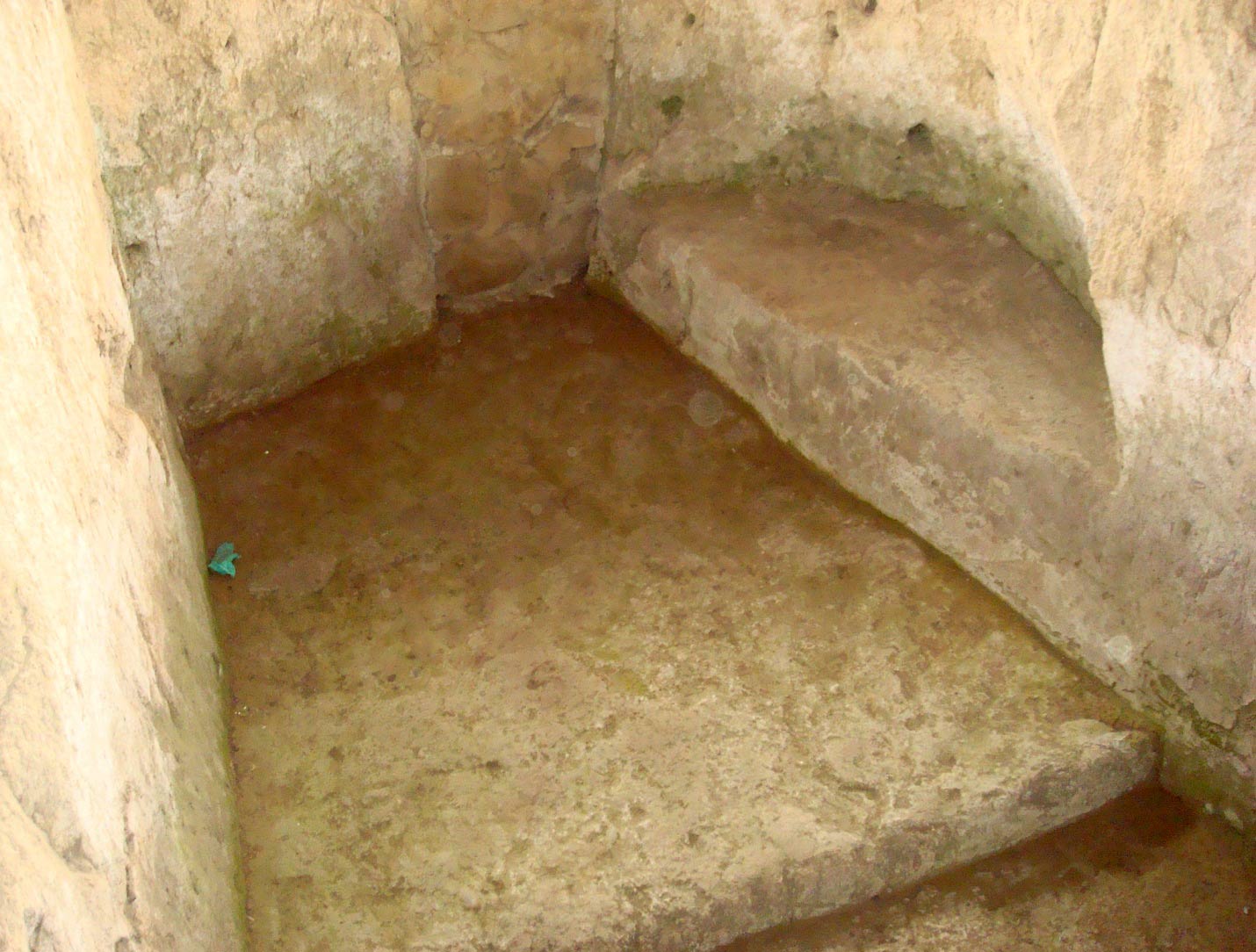 Glimpses of Prehistoric Kashmir | Sahapedia