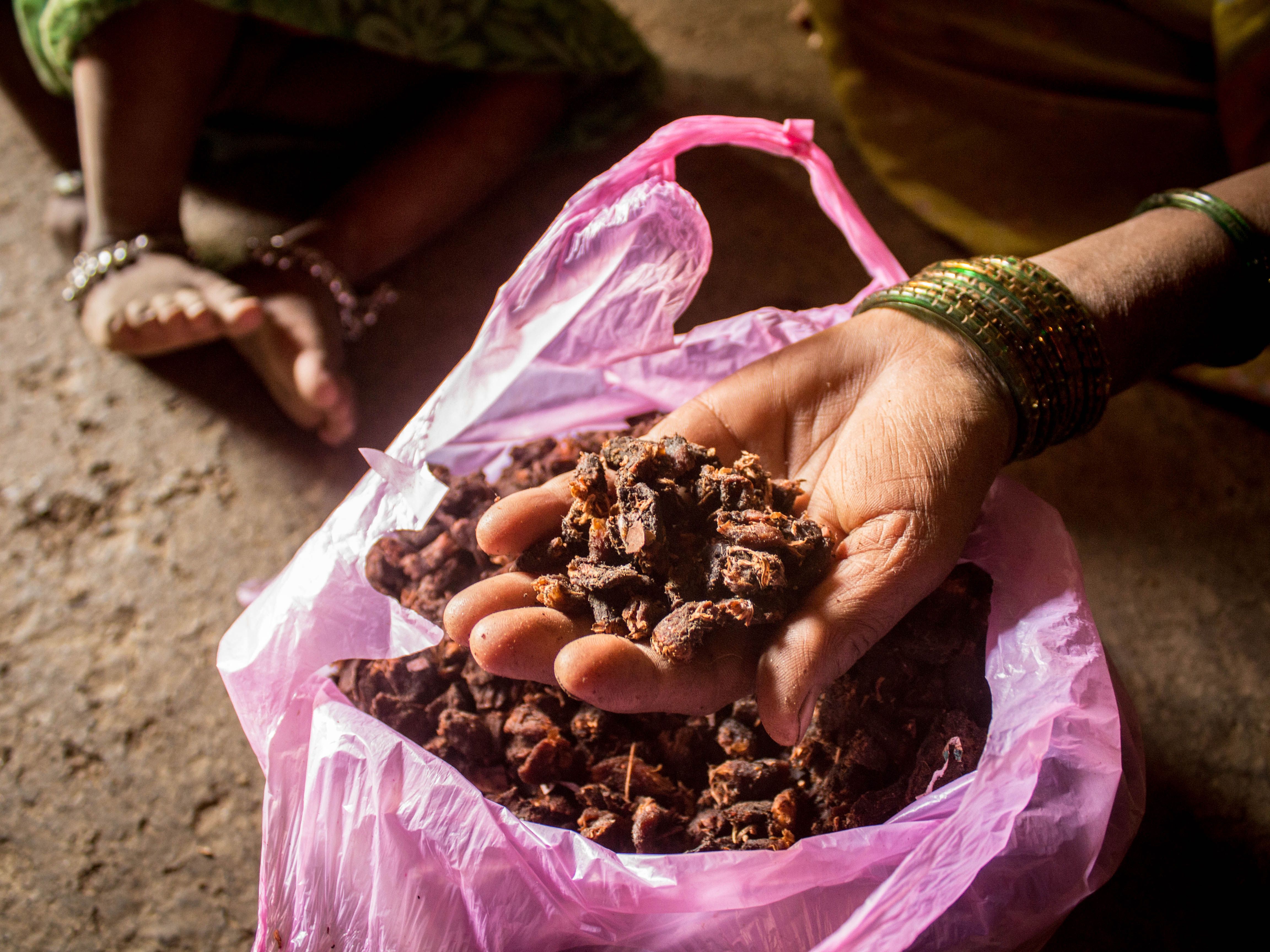 From Flower to Spirit: How Moha Pervades Warli Lives | Sahapedia
