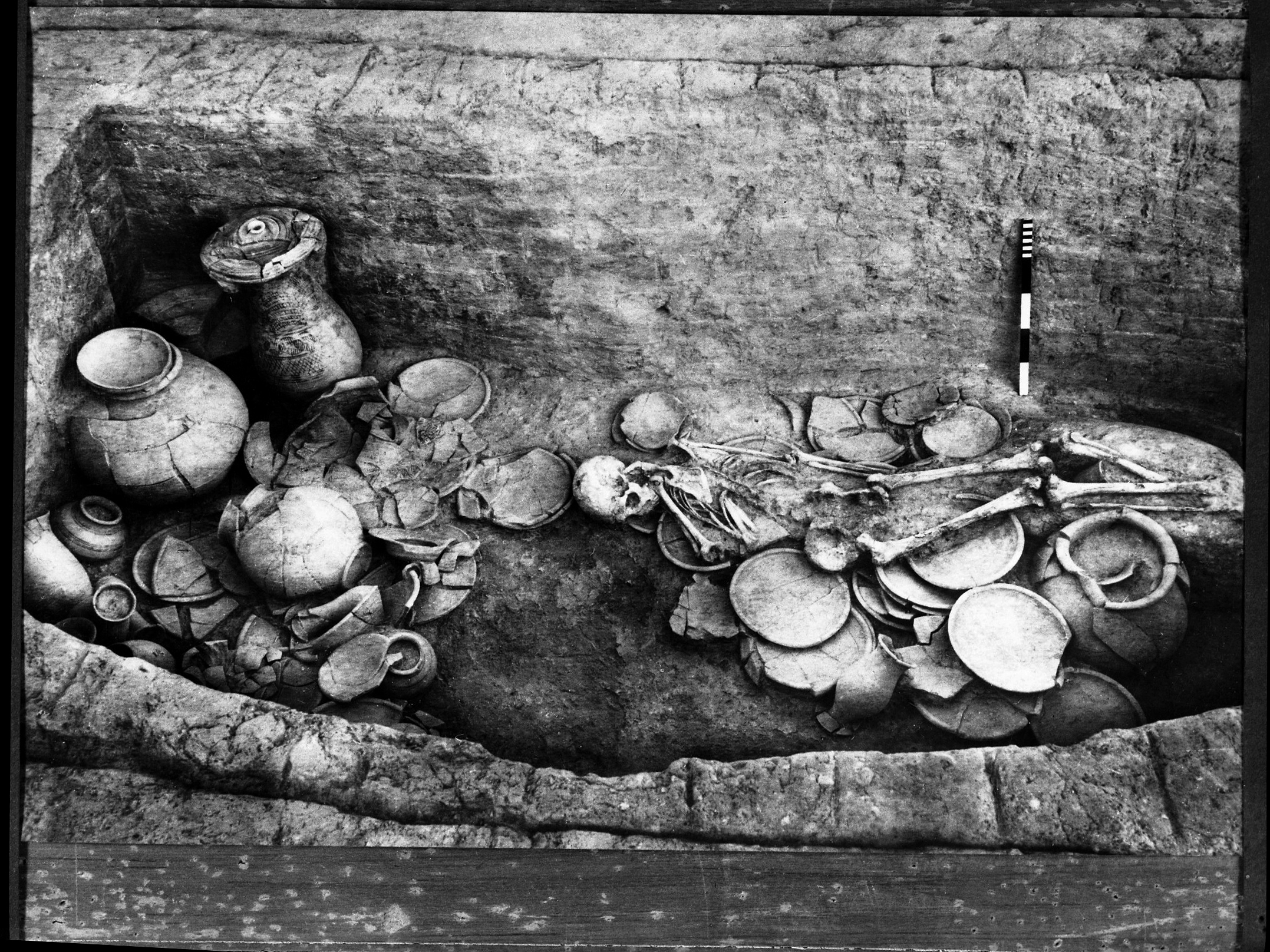 Images of Harappan Relics | Sahapedia