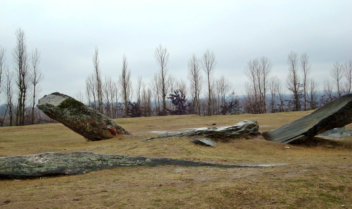 Glimpses of Prehistoric Kashmir | Sahapedia