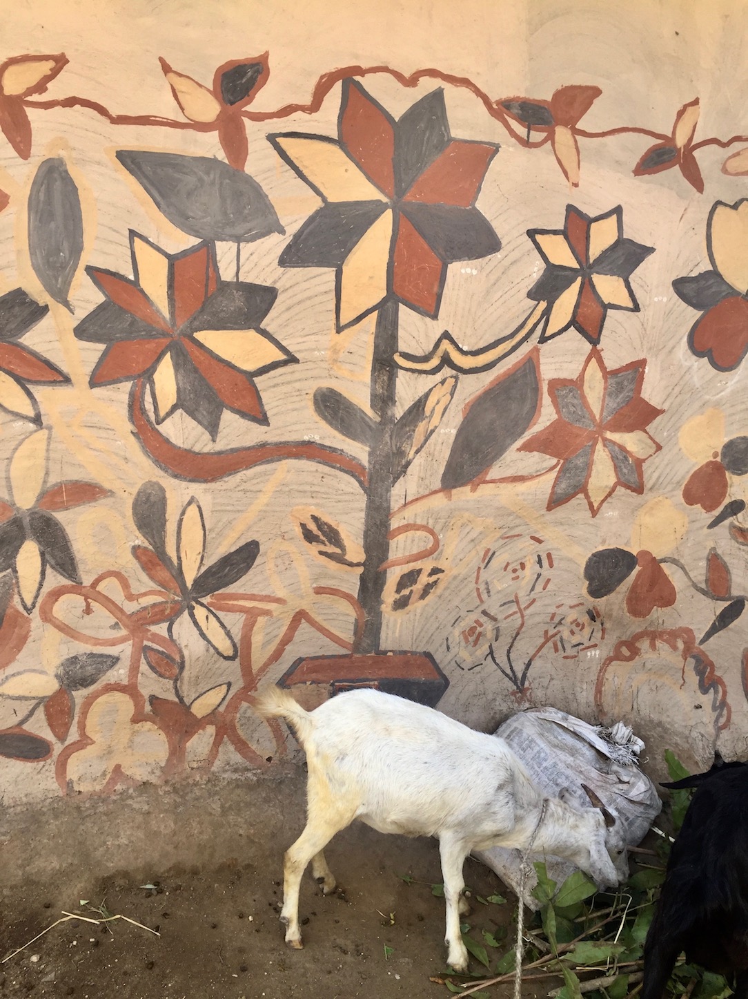 Mud Murals of Hazaribagh | Sahapedia