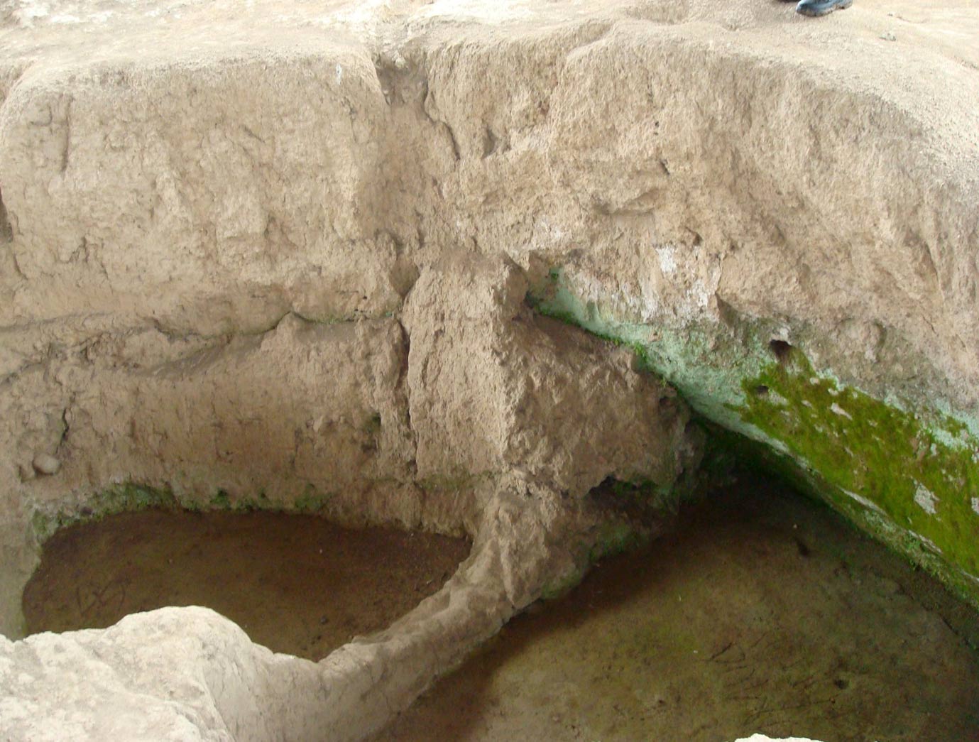 Glimpses of Prehistoric Kashmir | Sahapedia