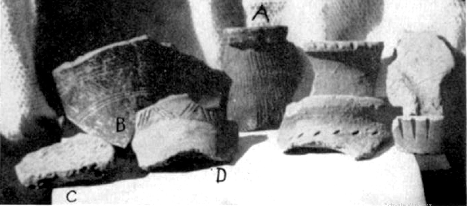 Glimpses of Prehistoric Kashmir | Sahapedia