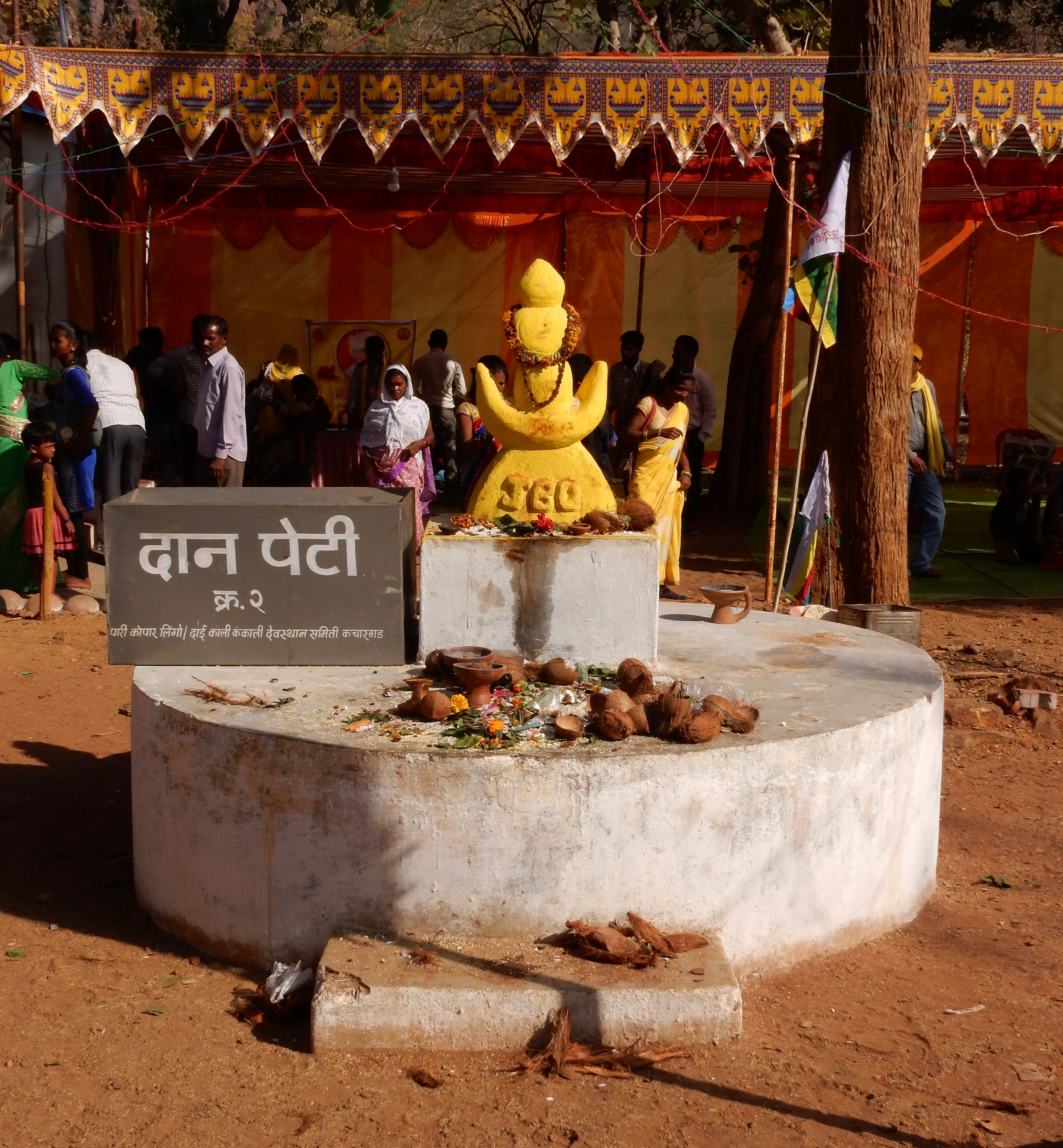 Gondi Rituals in the Kali Kankali Shrine of Kachargarh | Sahapedia