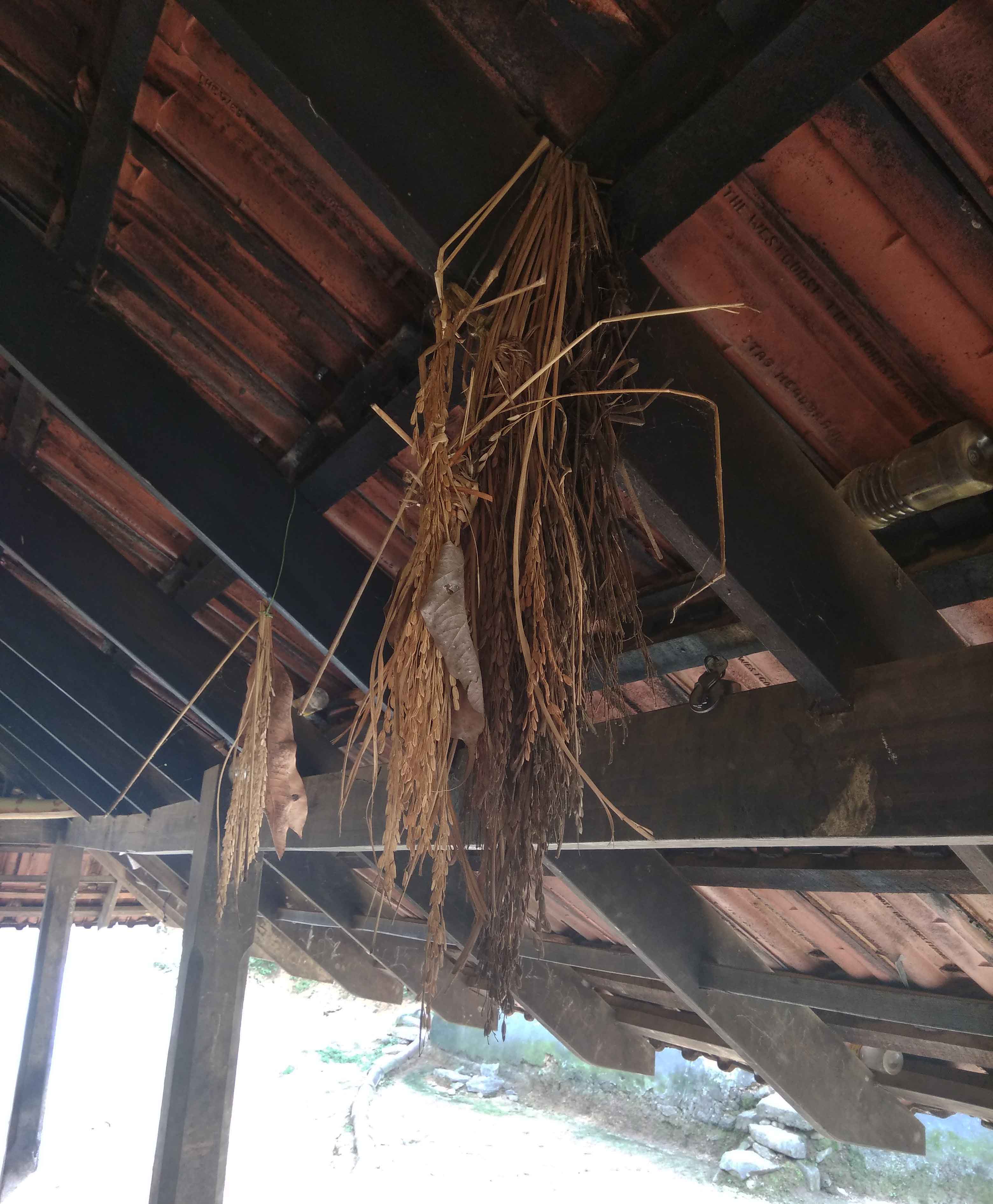 Kurichiyas and Kurumas of Wayanad: Photo Documentation | Sahapedia