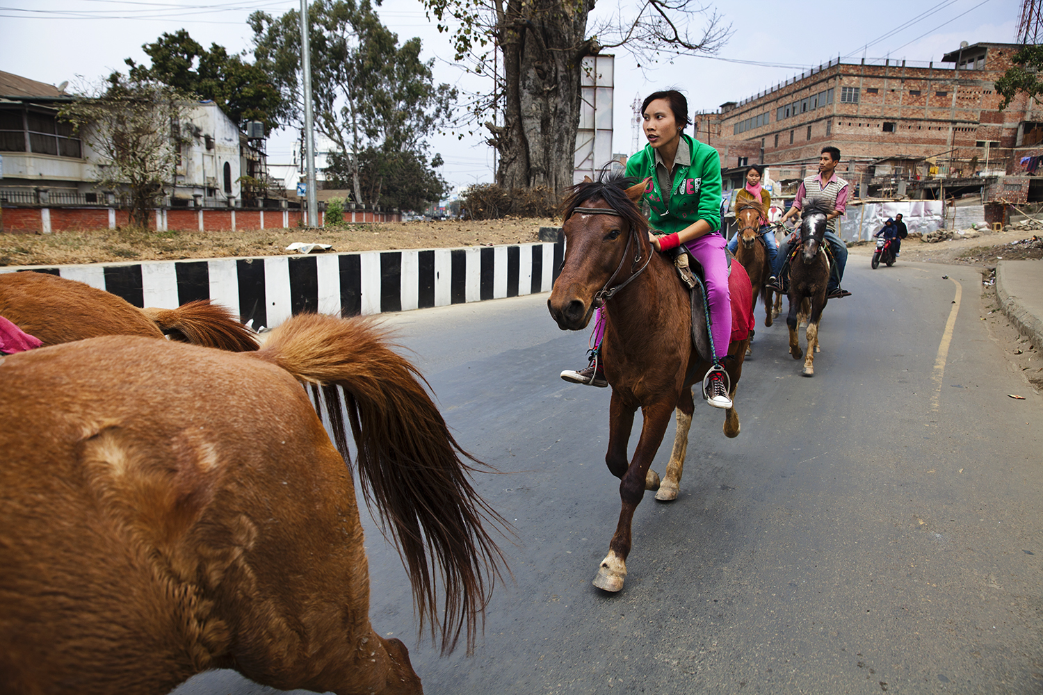 Manipuri Ponies & Origins of Polo | Sahapedia