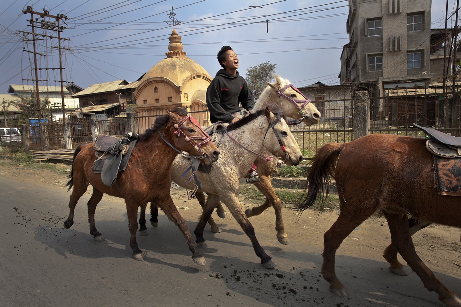 Manipuri Ponies & Origins of Polo | Sahapedia