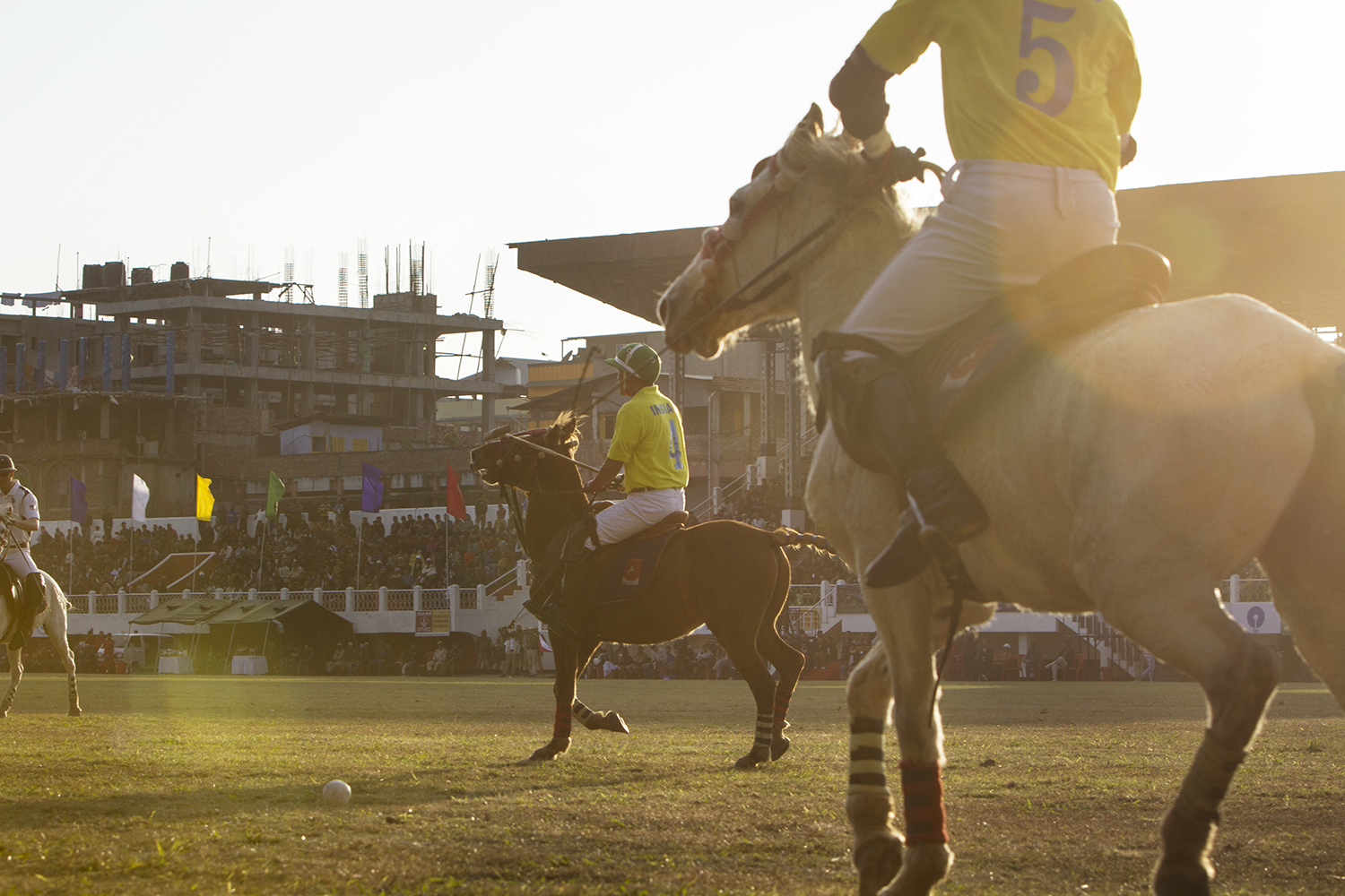 Manipuri Ponies & Origins of Polo | Sahapedia