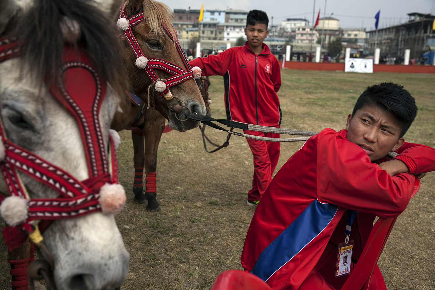 Manipuri Ponies & Origins of Polo | Sahapedia