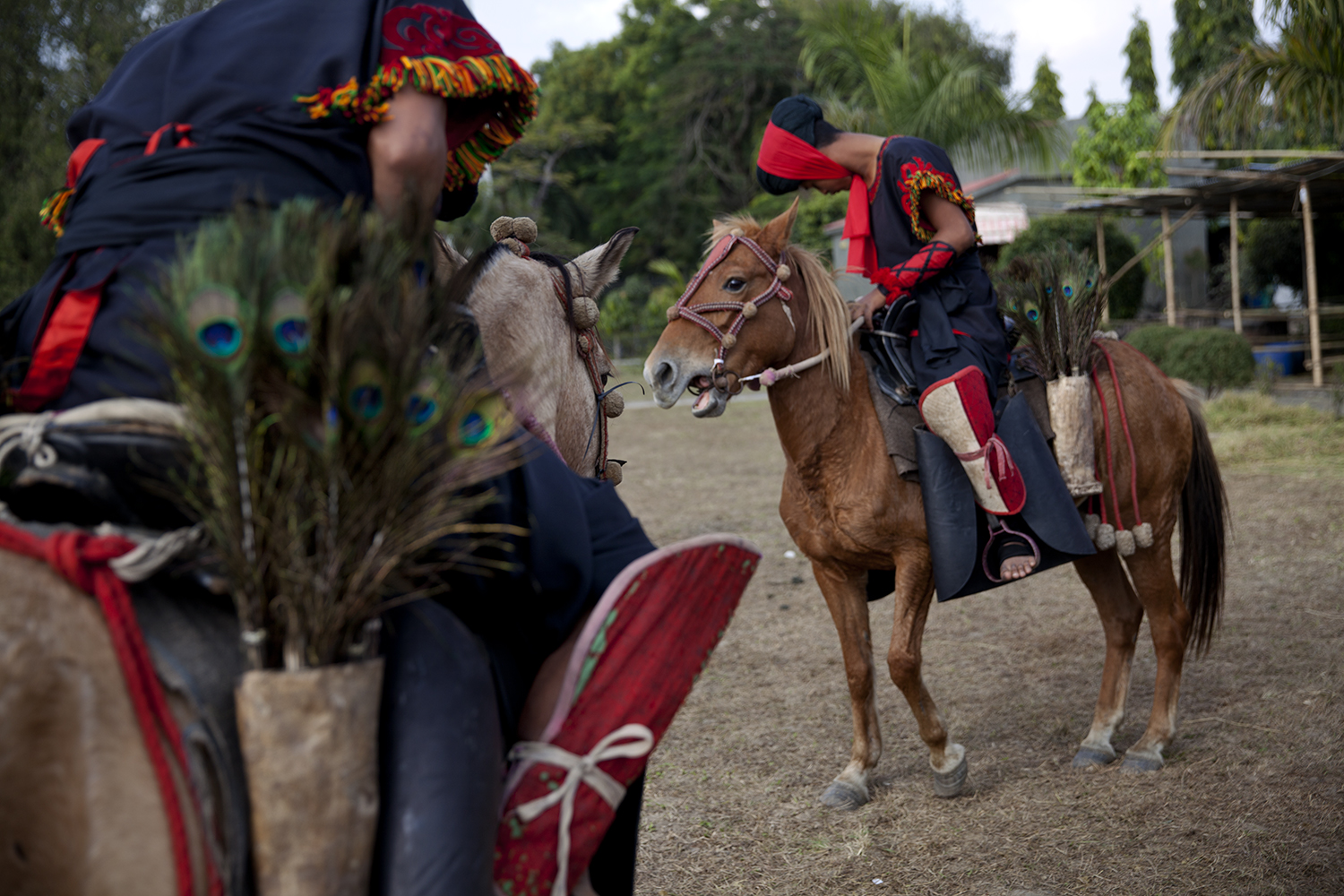 Manipuri Ponies & Origins of Polo | Sahapedia