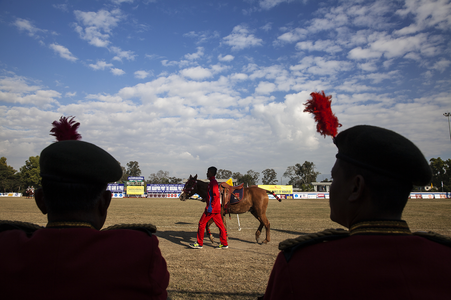 Manipuri Ponies & Origins of Polo | Sahapedia