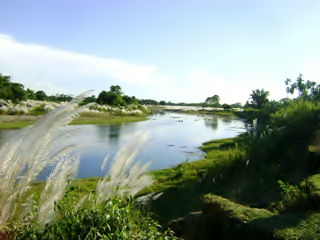 Manas National Park | Sahapedia