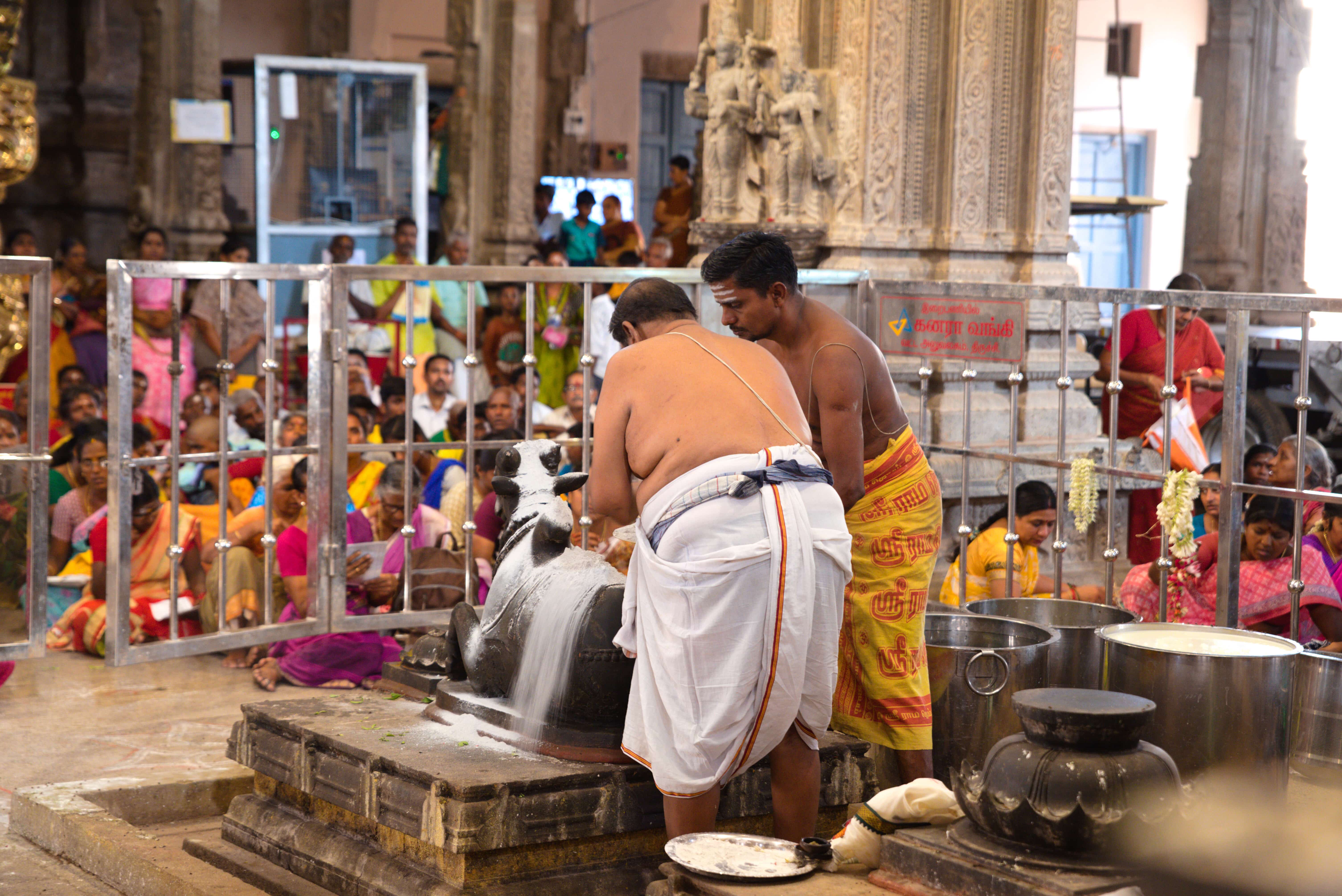 Approaching The Divine Temple Rituals In Tamil Nadu Sahapedia Approaching The Divine Temple Rituals In Tamil Nadu Sahapedia