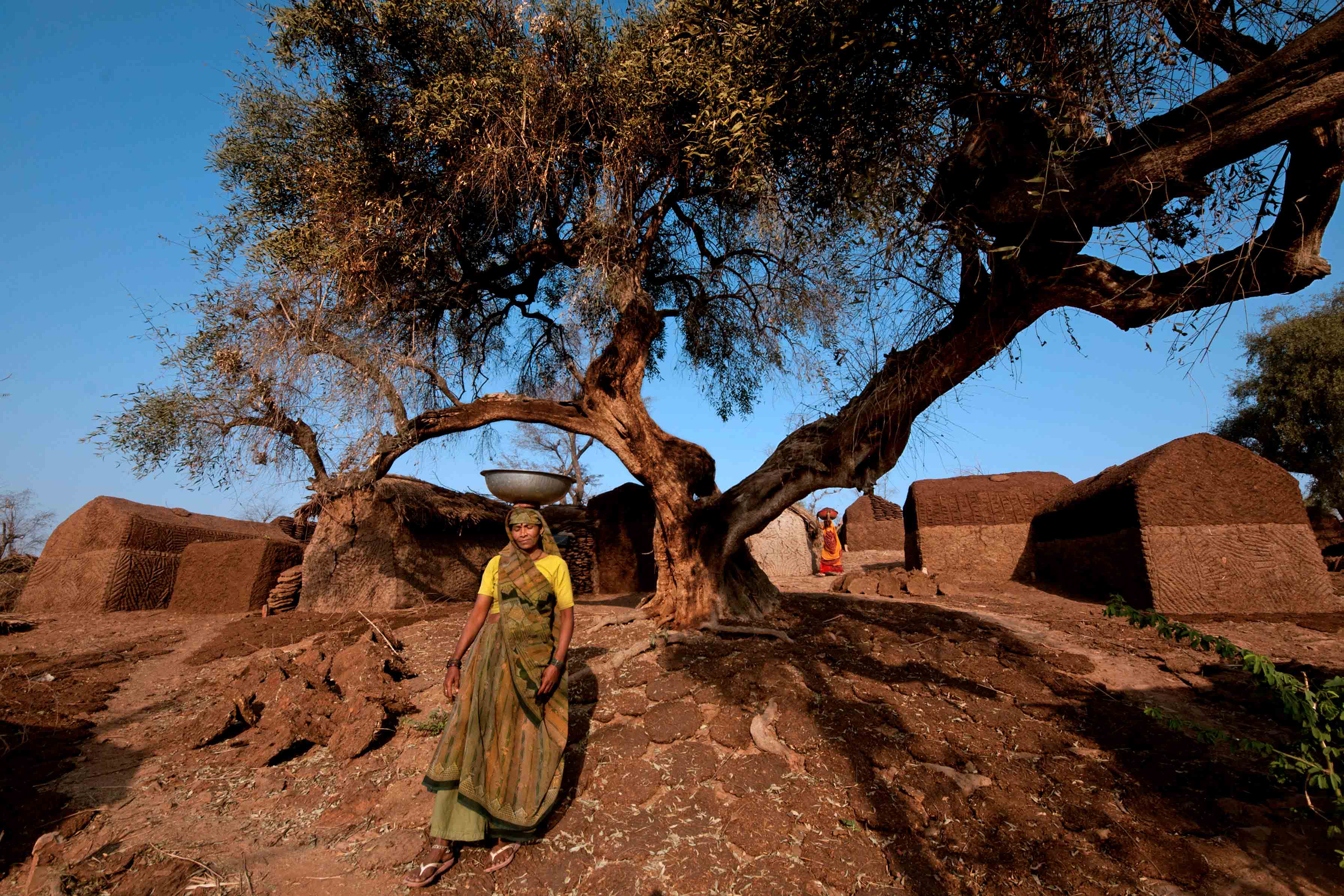 Chipri: Bio-Waste Storage in Rural Uttar Pradesh | Sahapedia