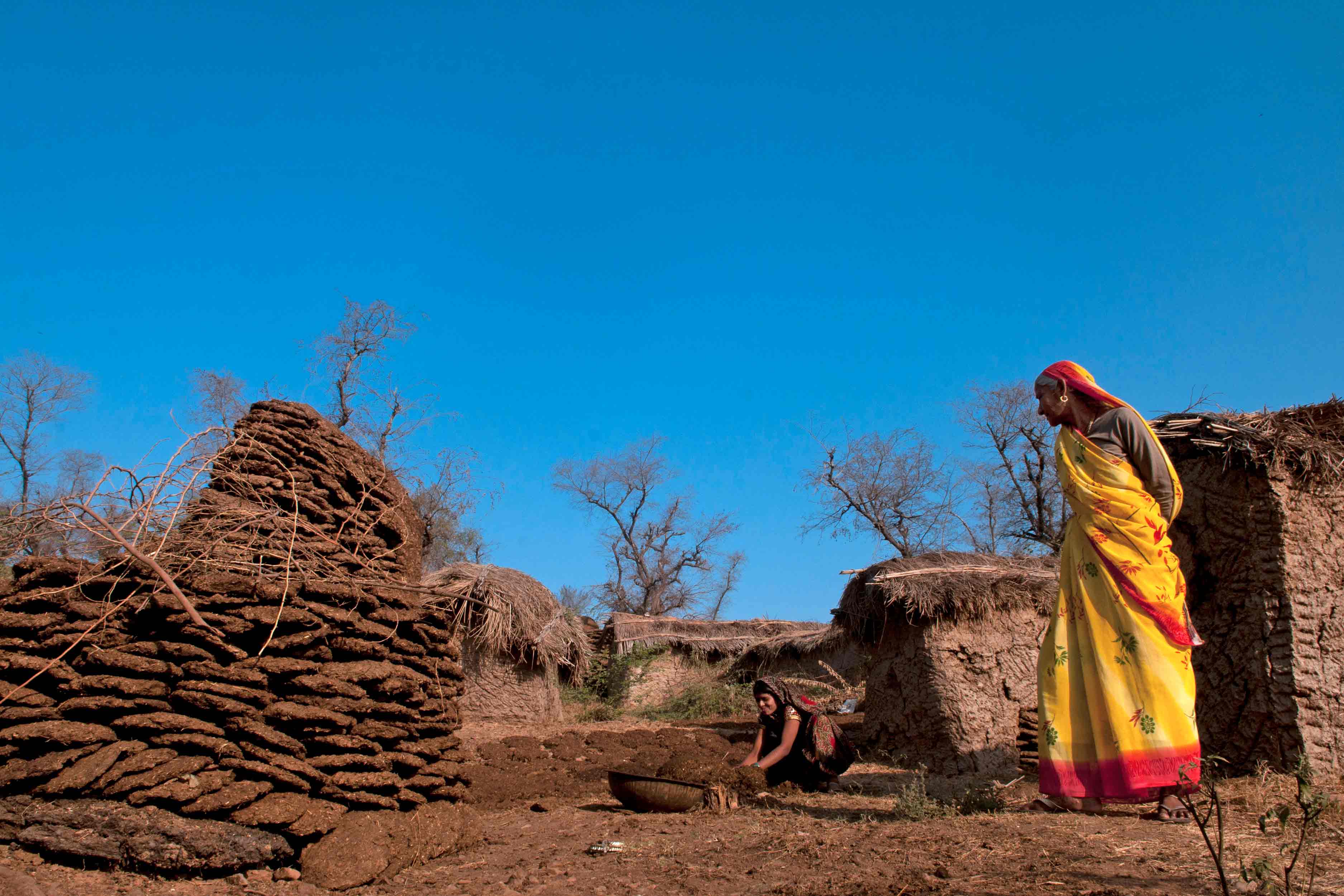 Chipri: Bio-Waste Storage in Rural Uttar Pradesh | Sahapedia