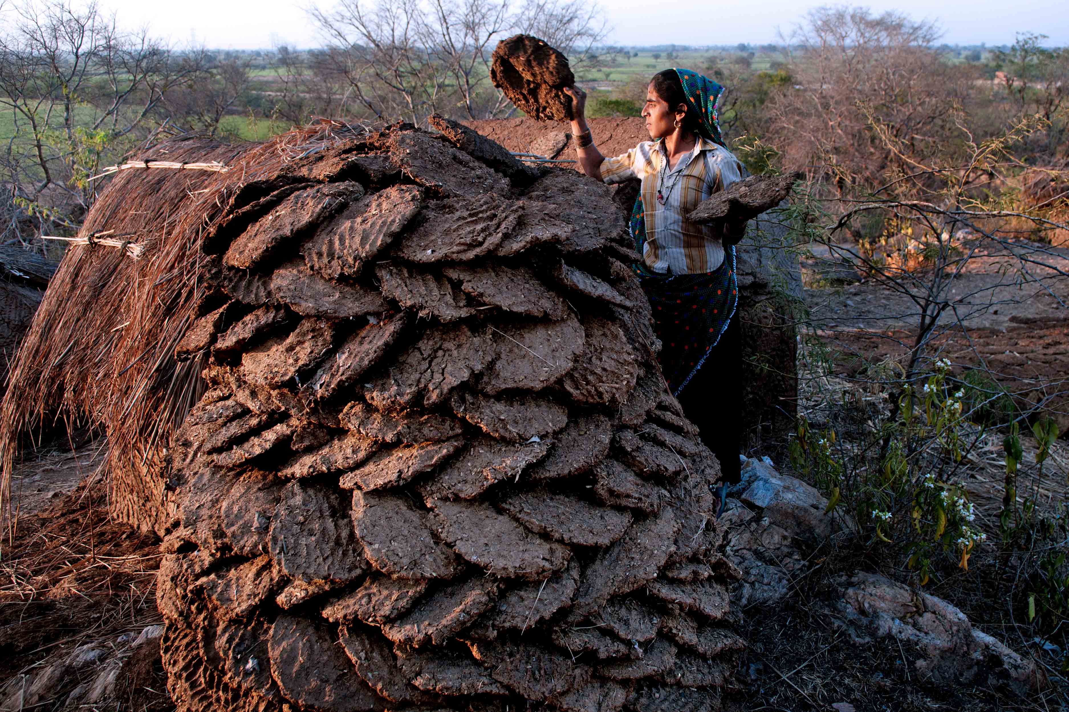 Chipri: Bio-Waste Storage in Rural Uttar Pradesh | Sahapedia