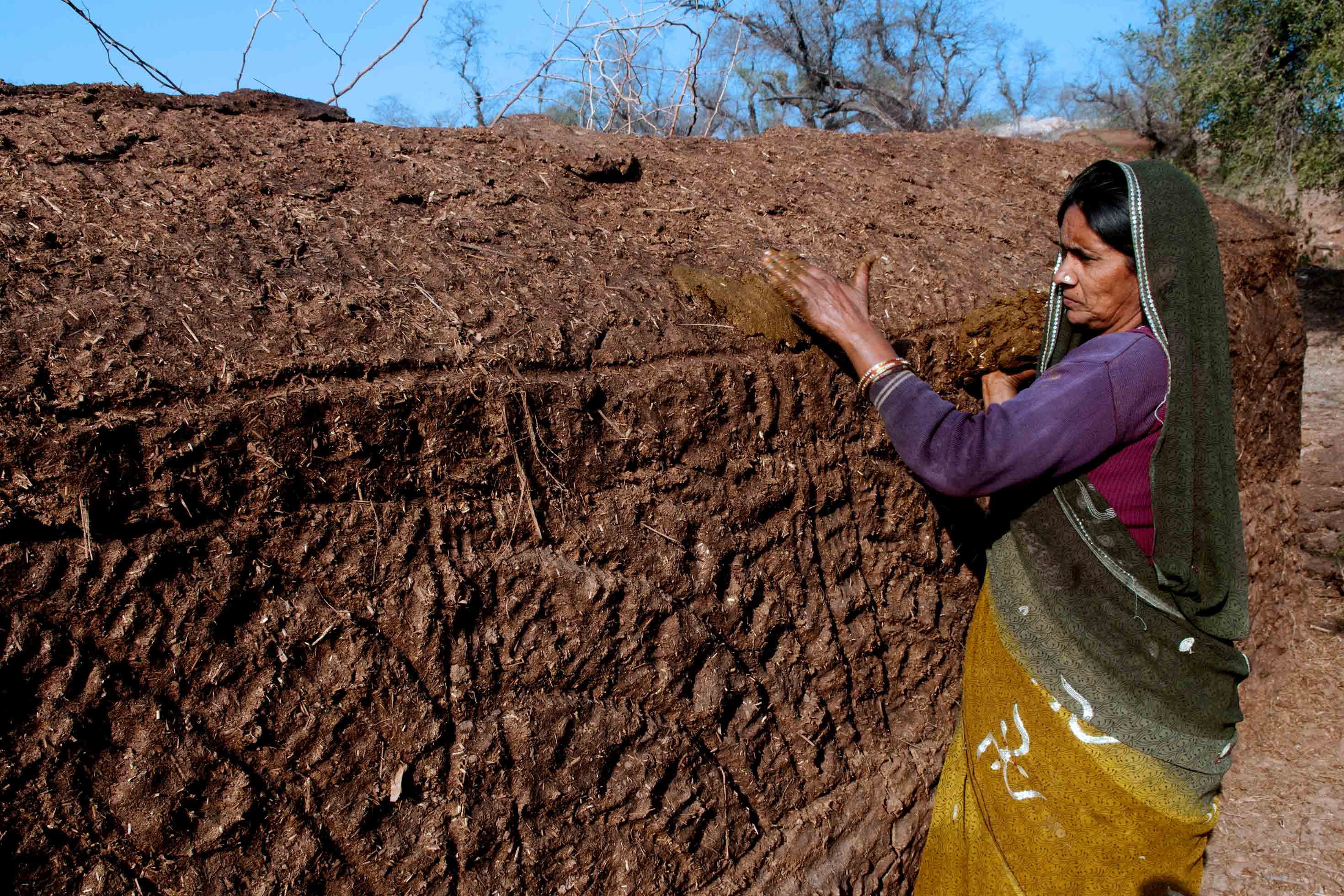 Chipri: Bio-Waste Storage in Rural Uttar Pradesh | Sahapedia