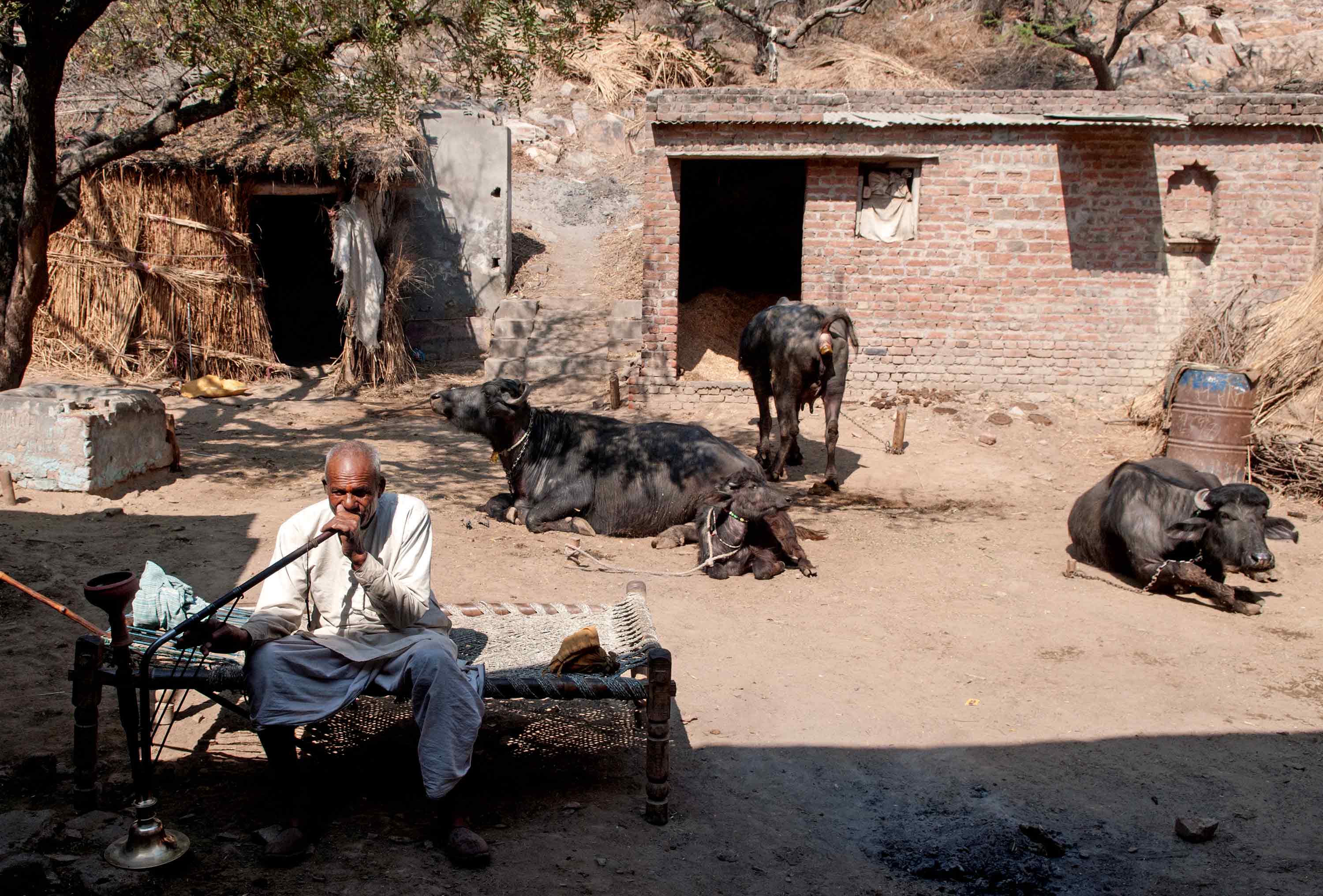 Chipri: Bio-Waste Storage in Rural Uttar Pradesh | Sahapedia