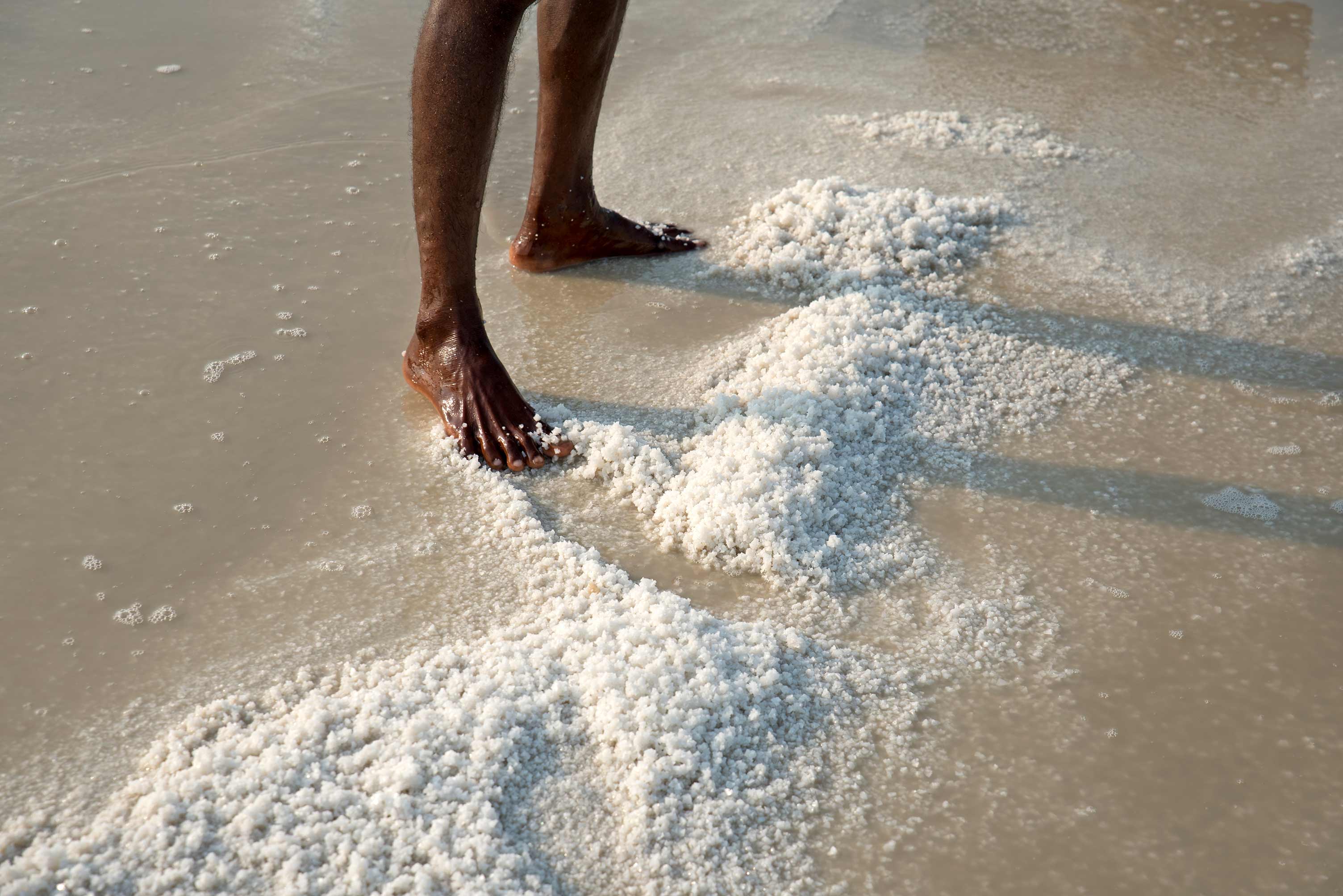 In Search of White Gold: Salt Harvesting at Marakkanam | Sahapedia