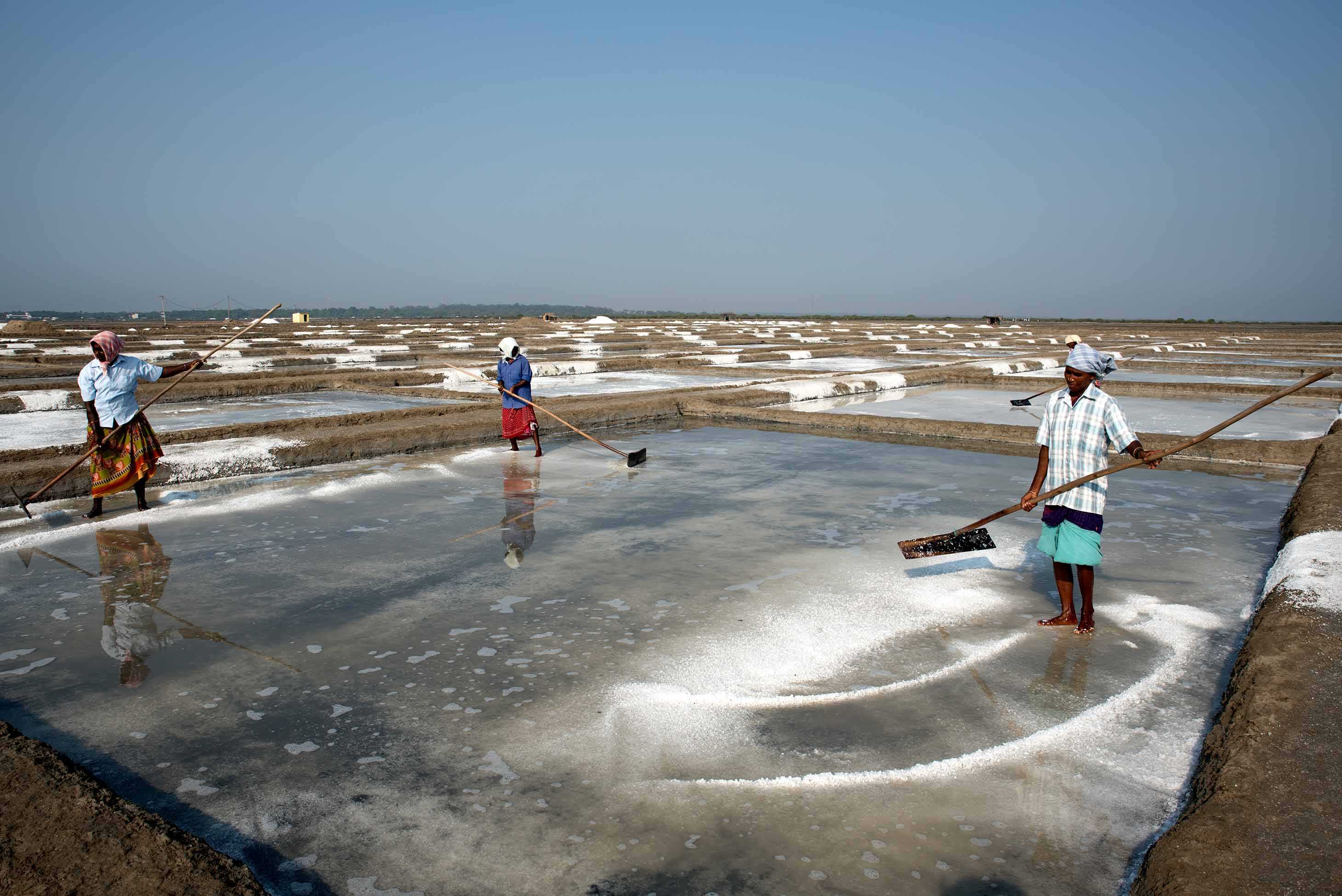 In Search of White Gold: Salt Harvesting at Marakkanam | Sahapedia