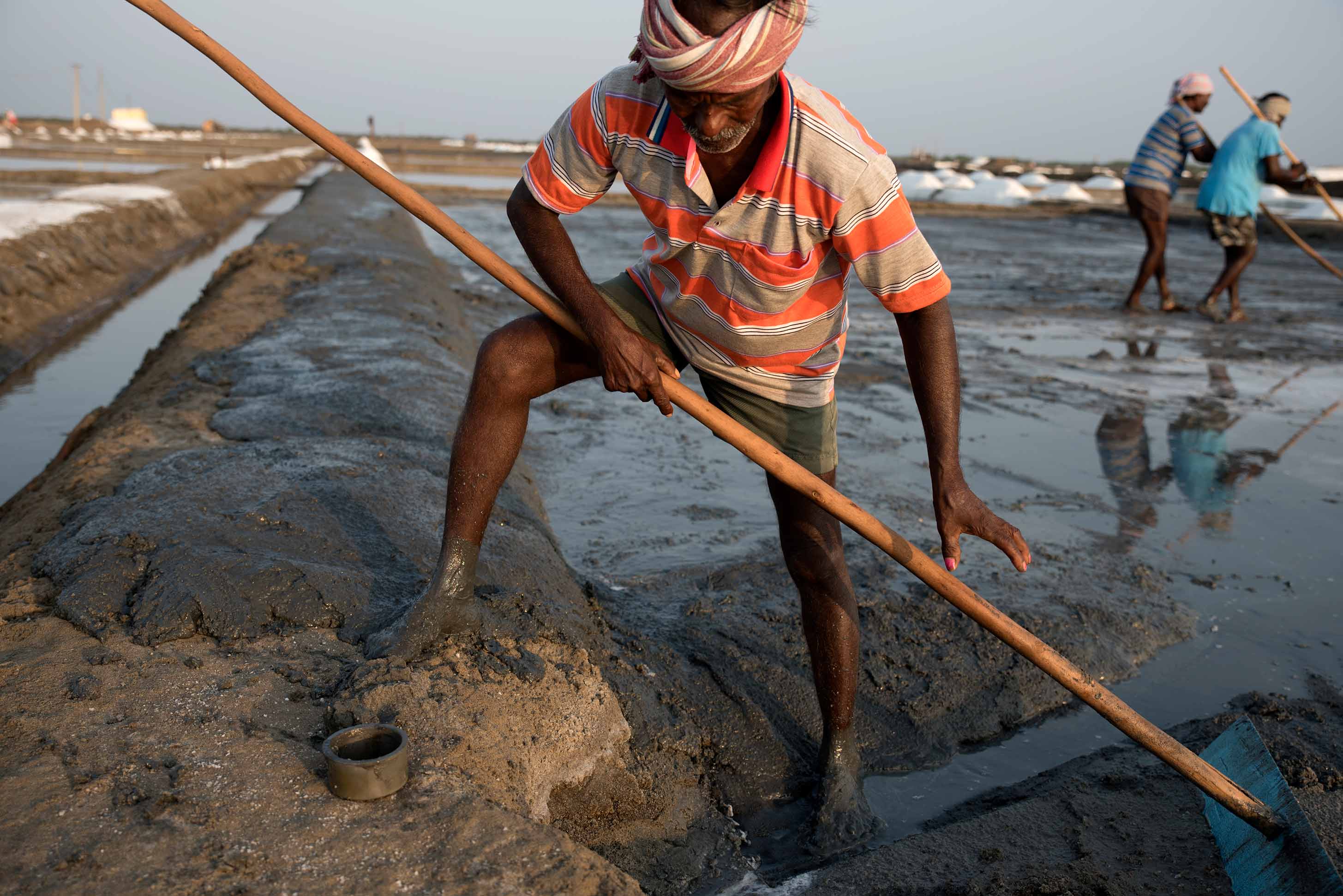 In Search of White Gold: Salt Harvesting at Marakkanam | Sahapedia
