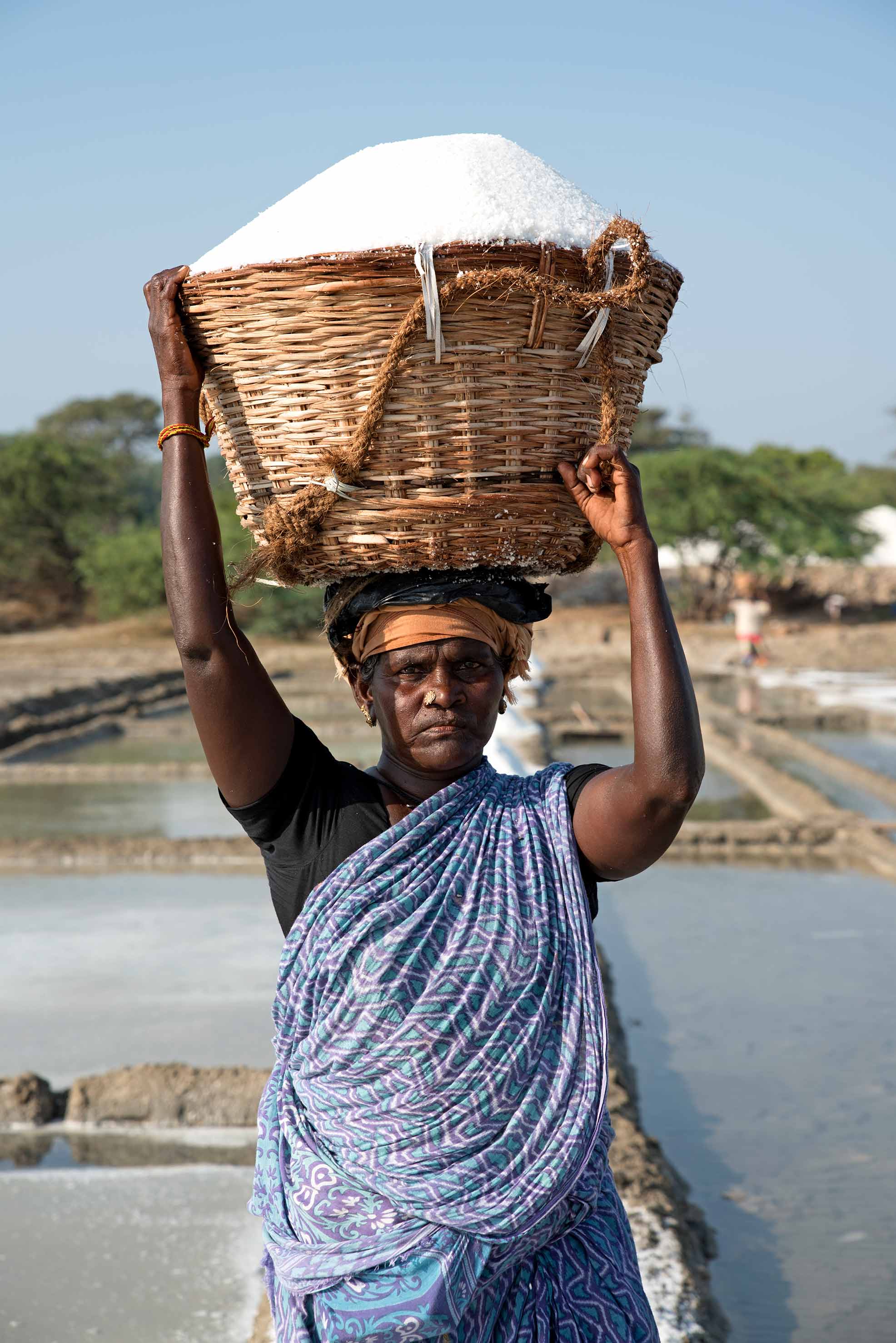 In Search of White Gold: Salt Harvesting at Marakkanam | Sahapedia
