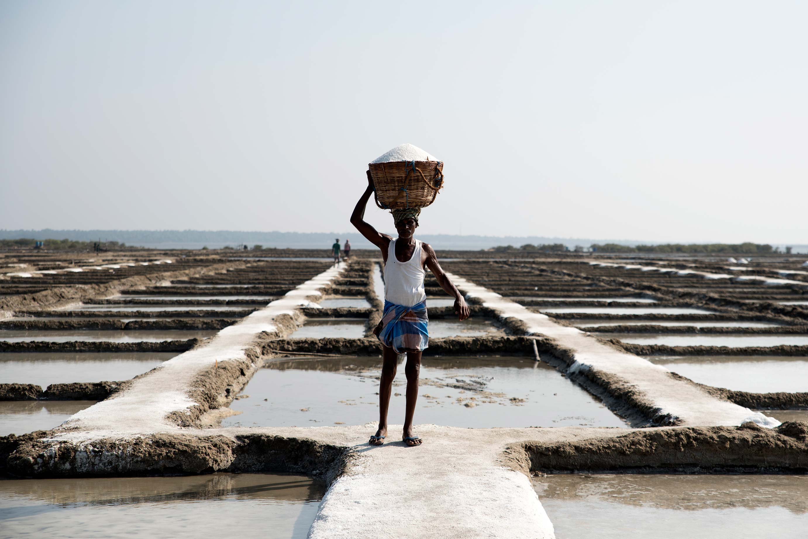 In Search of White Gold: Salt Harvesting at Marakkanam | Sahapedia