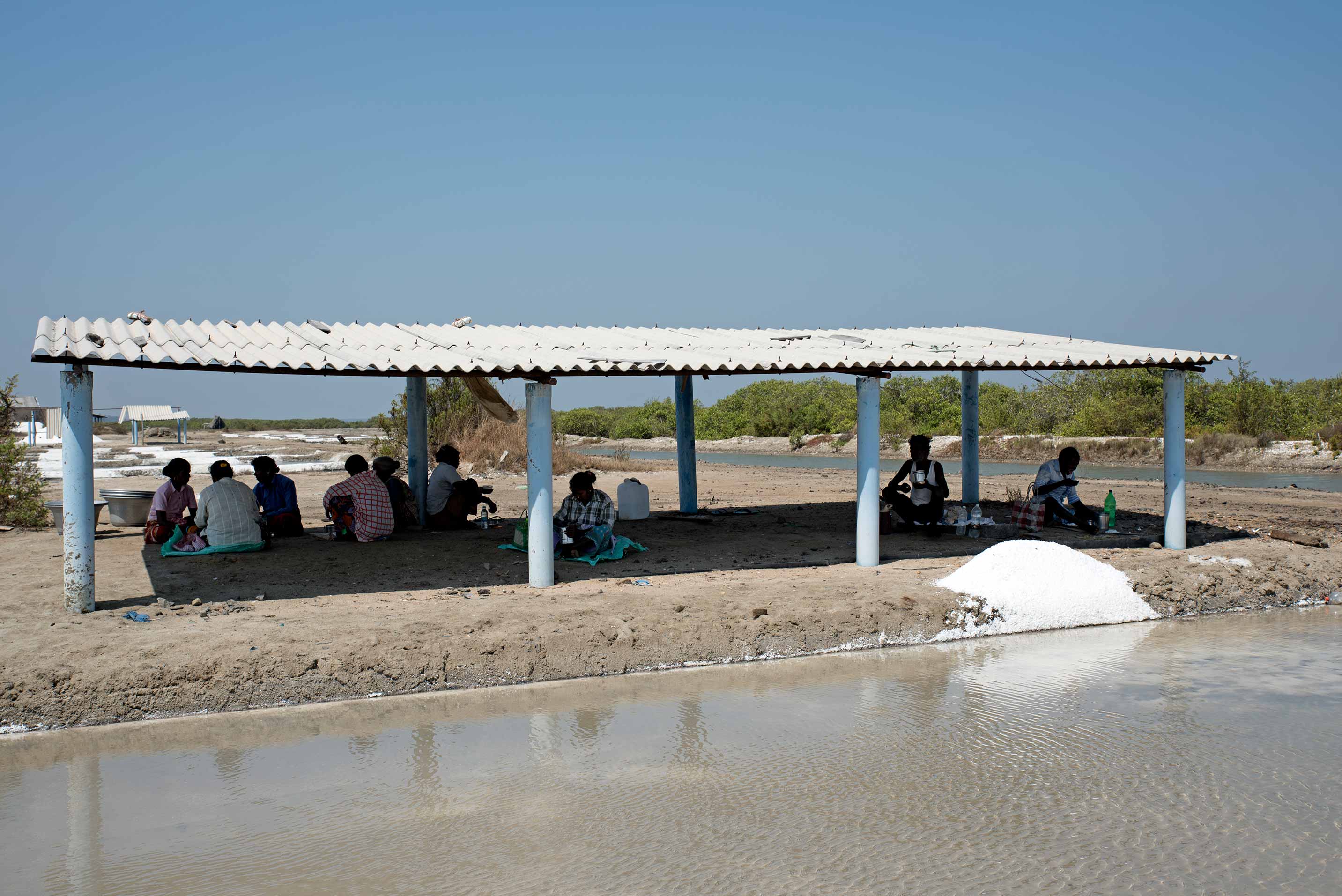 In Search of White Gold: Salt Harvesting at Marakkanam | Sahapedia