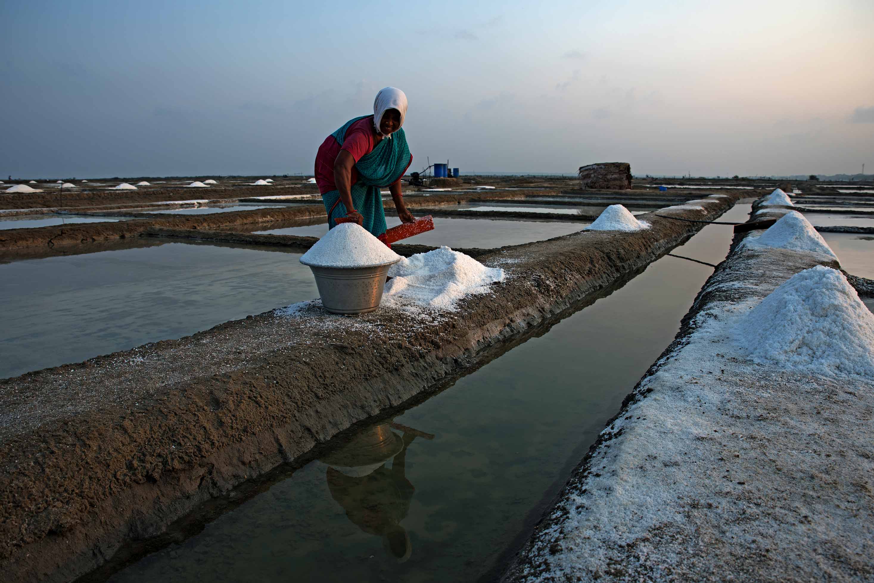 In Search of White Gold: Salt Harvesting at Marakkanam | Sahapedia