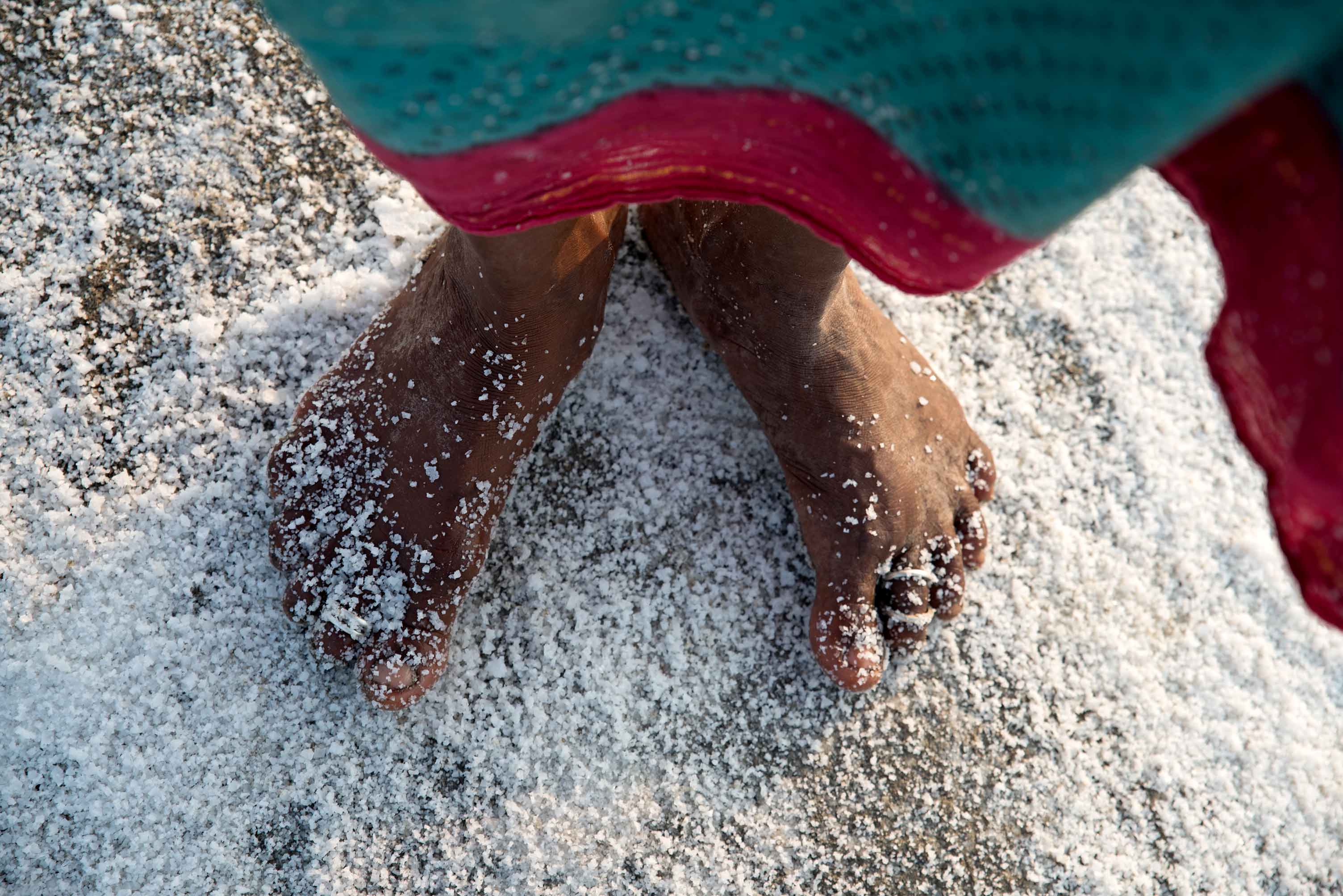 In Search of White Gold: Salt Harvesting at Marakkanam | Sahapedia