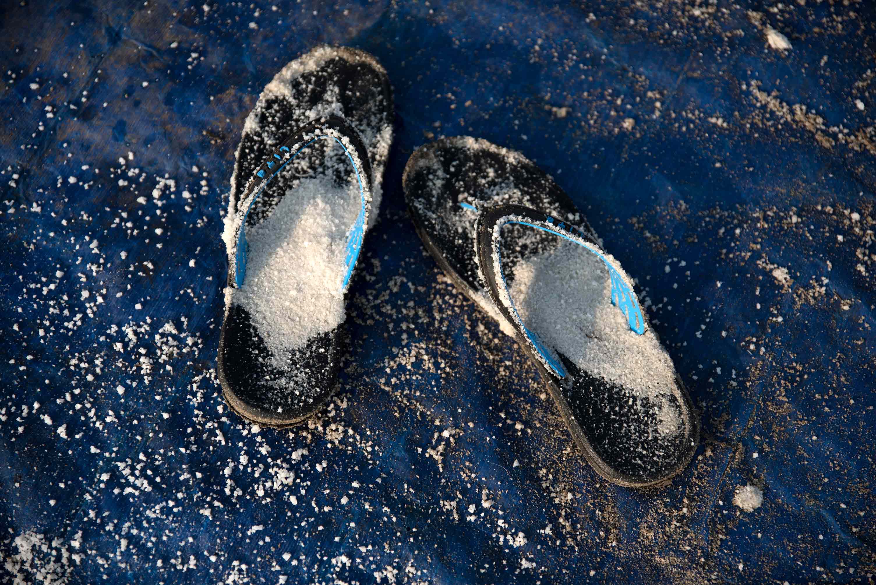 In Search of White Gold: Salt Harvesting at Marakkanam | Sahapedia