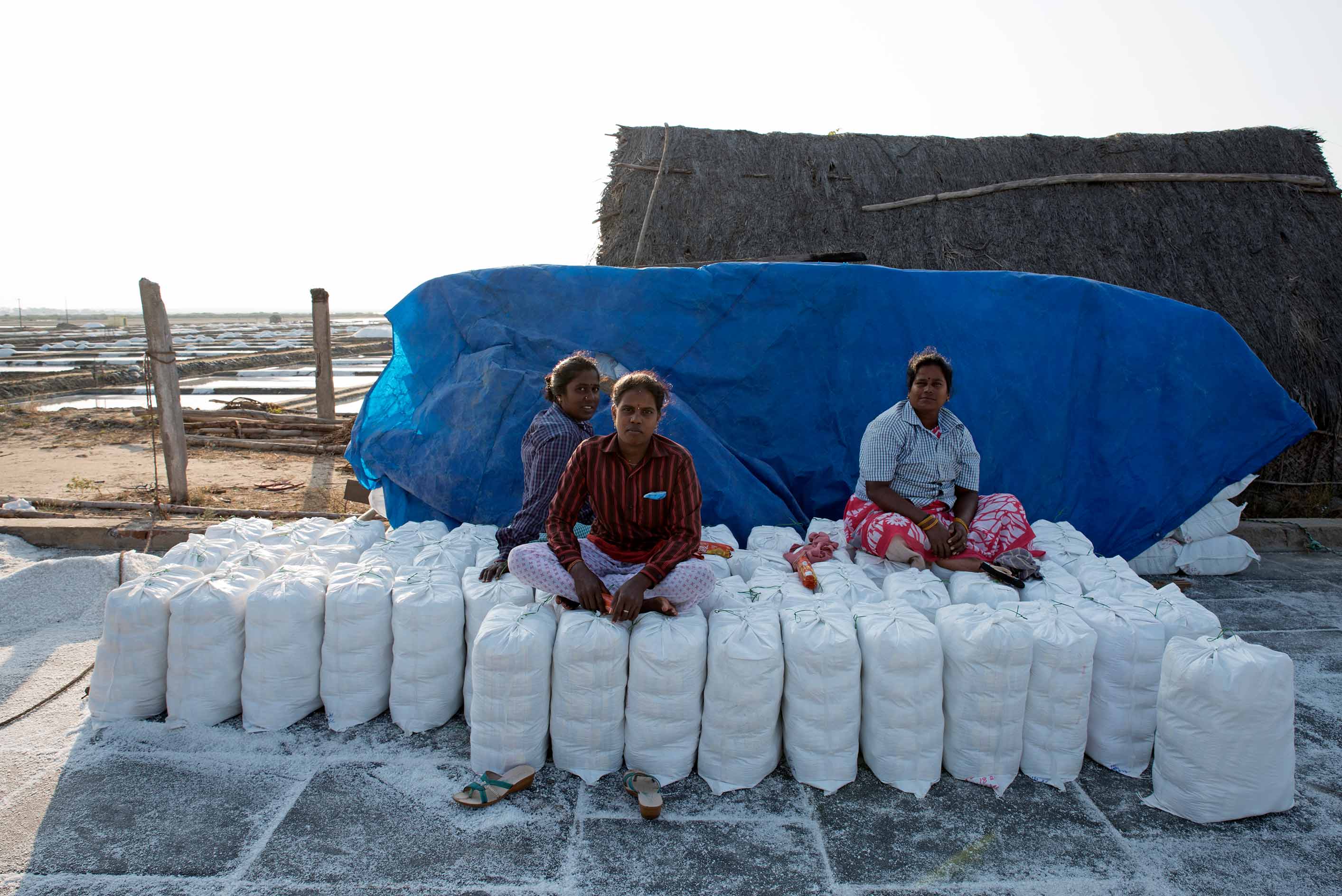 In Search of White Gold: Salt Harvesting at Marakkanam | Sahapedia