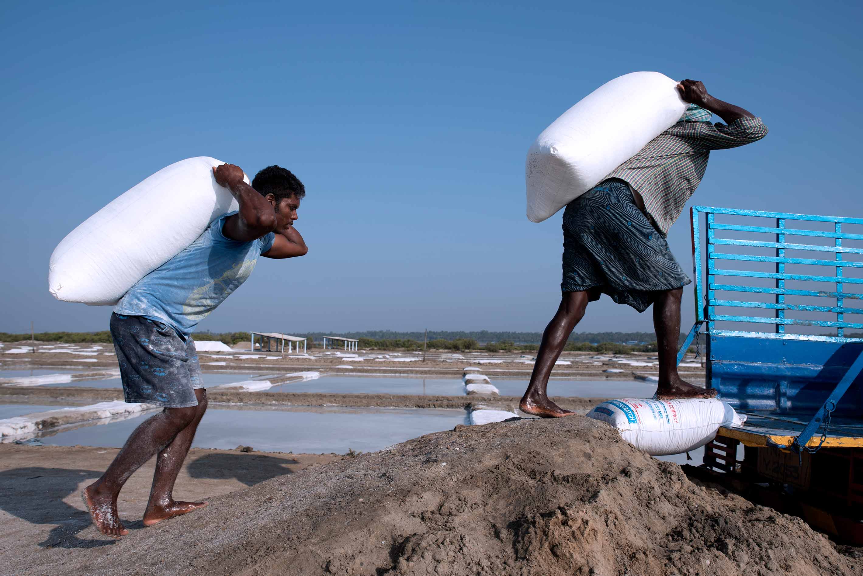 In Search of White Gold: Salt Harvesting at Marakkanam | Sahapedia
